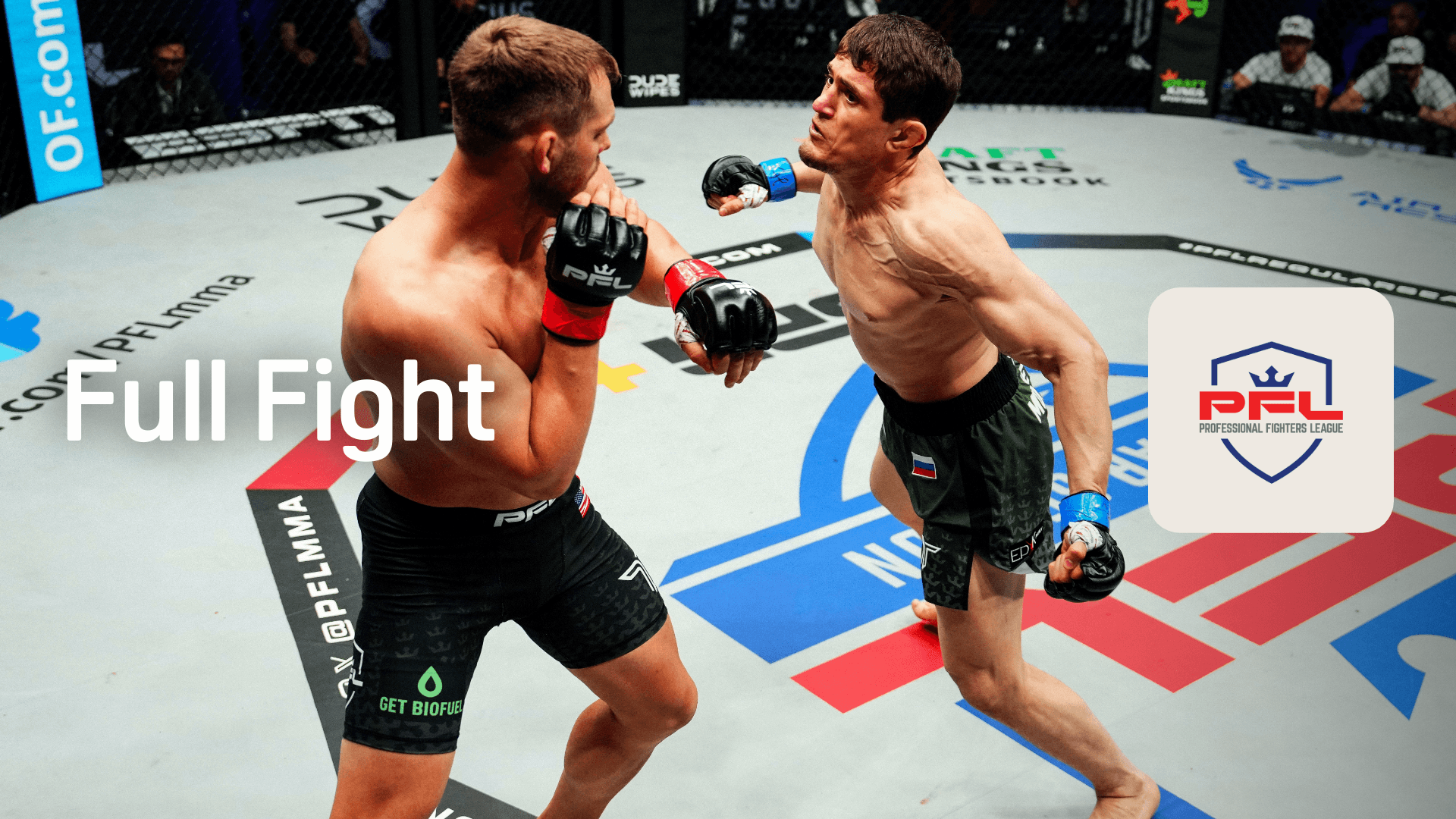 Watch PFL 3 | 2024: Storley vs. Musaev Online | DAZN BL