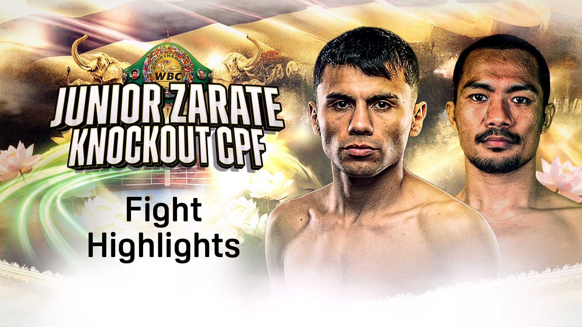 Watch Zarate vs. Knockout CPF: Fight Highlights Live Stream Online | DAZN ES