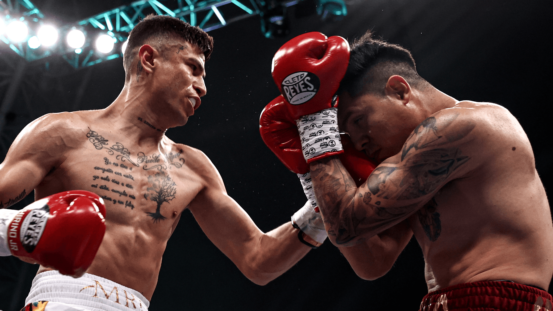 Watch Sanchez vs. Contreras: Full Fight Online | DAZN JP