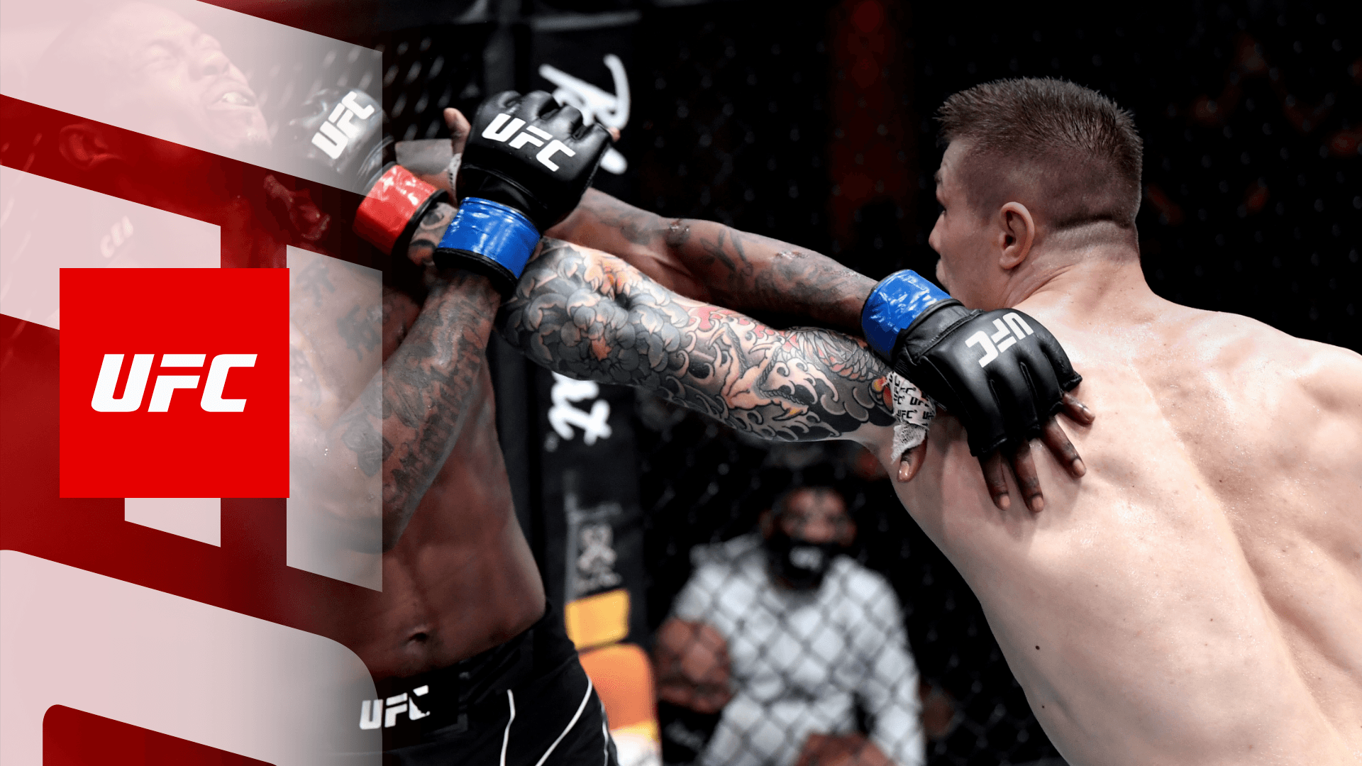 UFC Fight Night: Vettori - Holland Streaming | DAZN IT