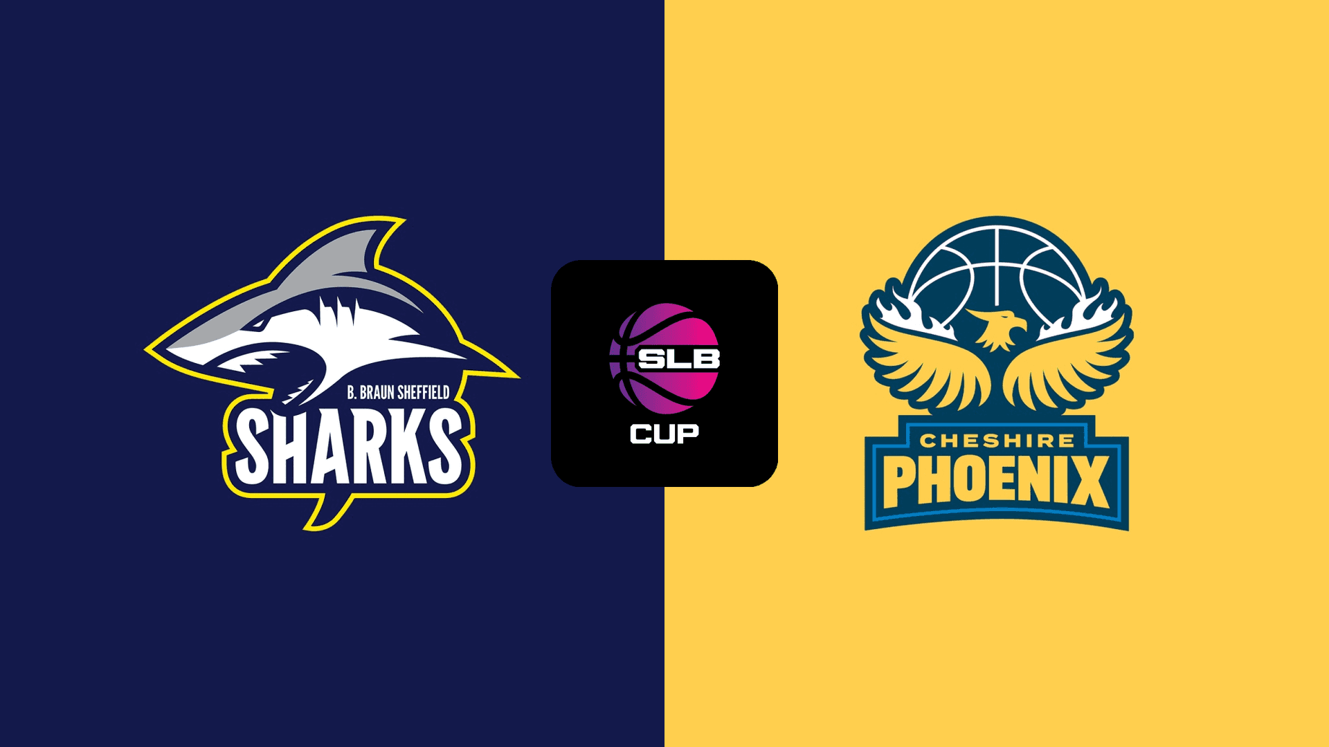 Watch Sheffield Sharks vs. Cheshire Phoenix Live Stream Online | DAZN GP