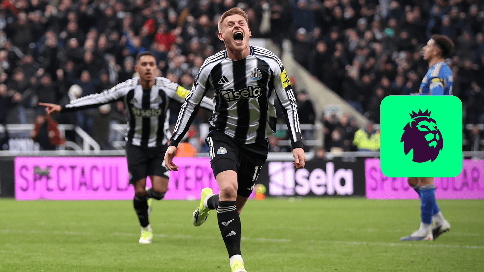 Watch Matchday 21 Highlights | Premier League Live Stream Online | DAZN PT