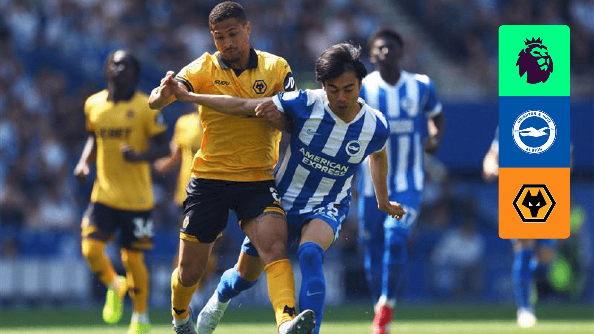 Vê Brighton x Wolves em Direto Online | DAZN PT