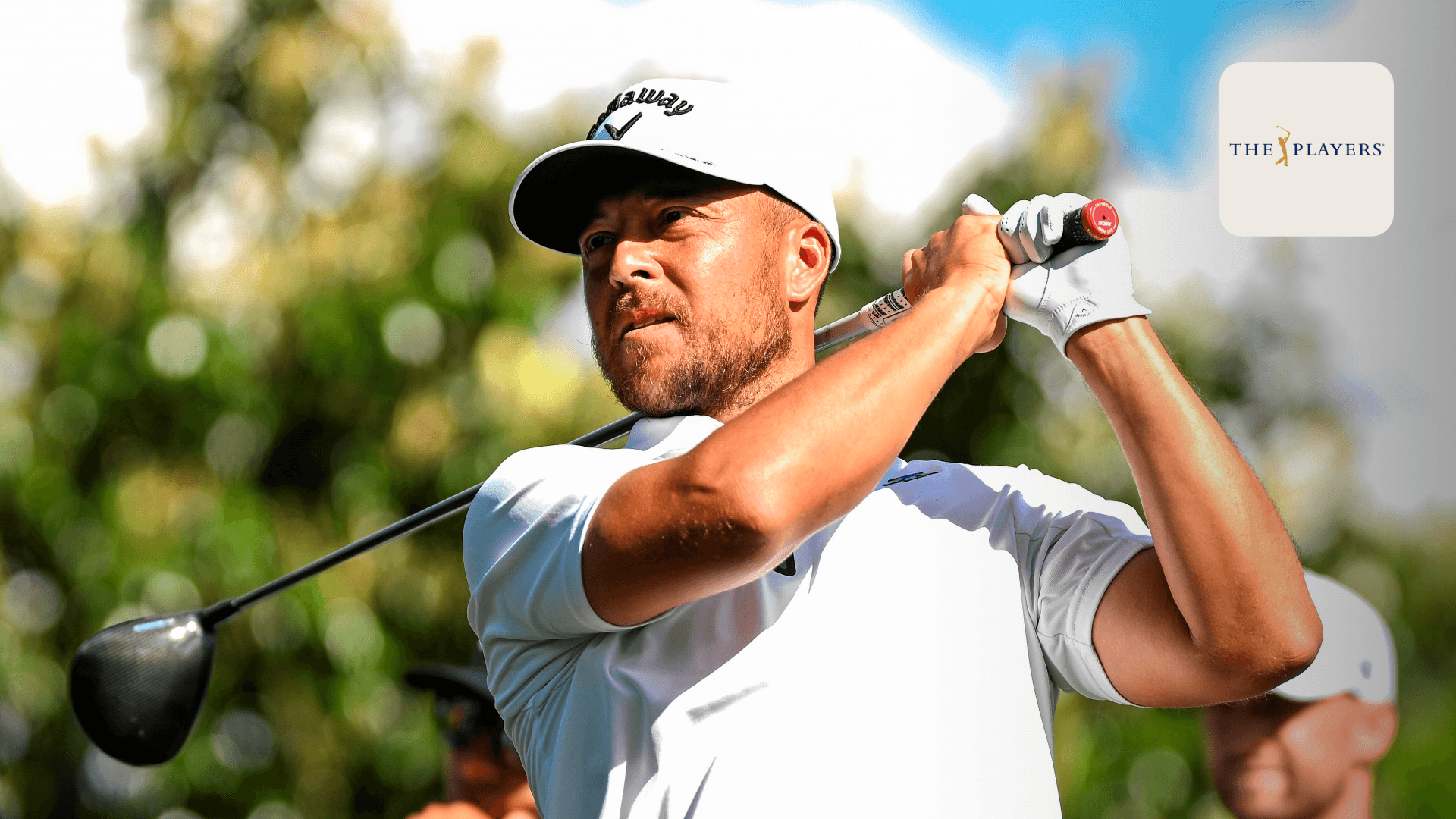 شاهد الجولة 4 – الملخص على الإنترنت | DAZN SA