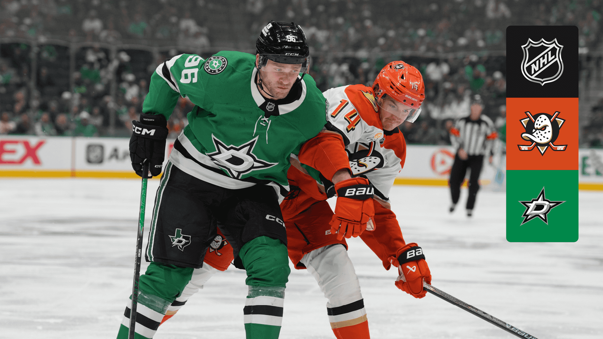 Watch Ducks @ Stars Live Stream Online | DAZN BQ