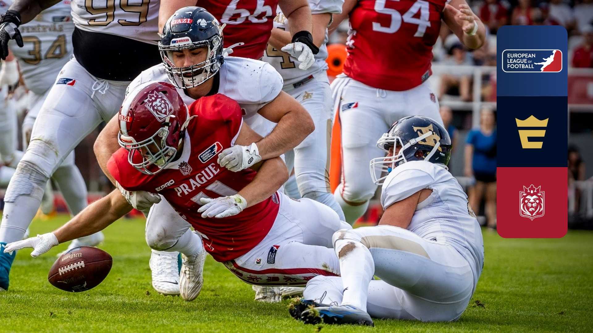 Watch Fehérvár Enthroners @ Prague Lions Live Stream | DAZN TH