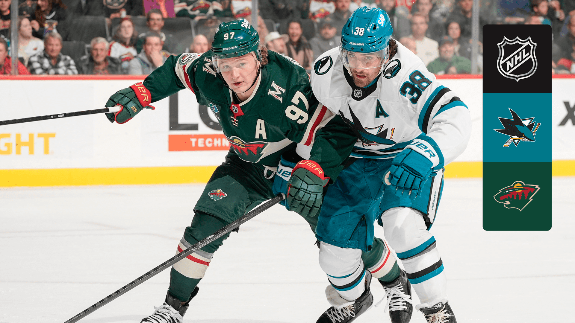 Watch Sharks @ Wild Live Stream Online | DAZN SI