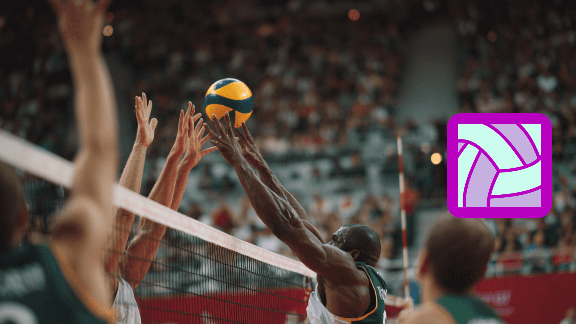 Watch Volleyball - Day 7 Live Stream Online | DAZN QA