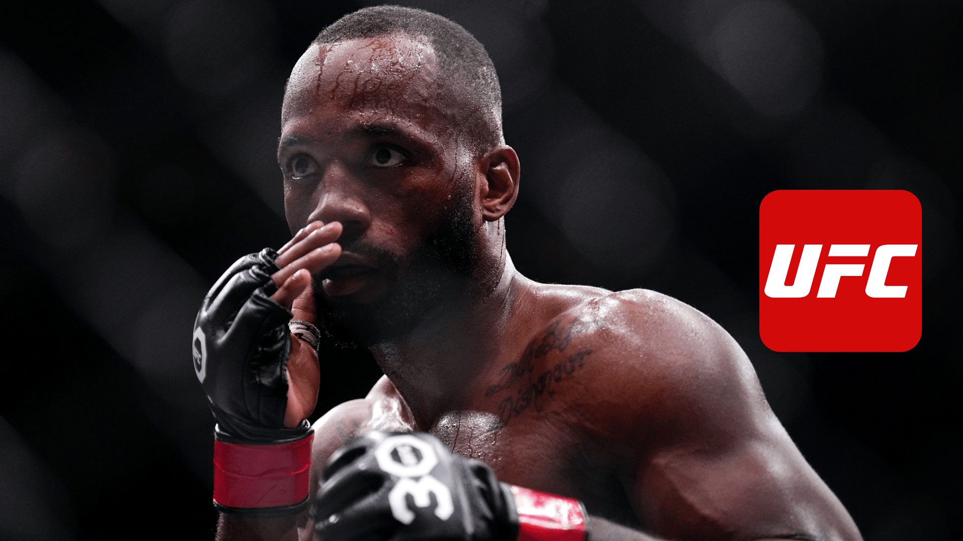 Watch UFC 304 | Leon Edwards vs Belal Muhammad 2 (Main Card) Live ...