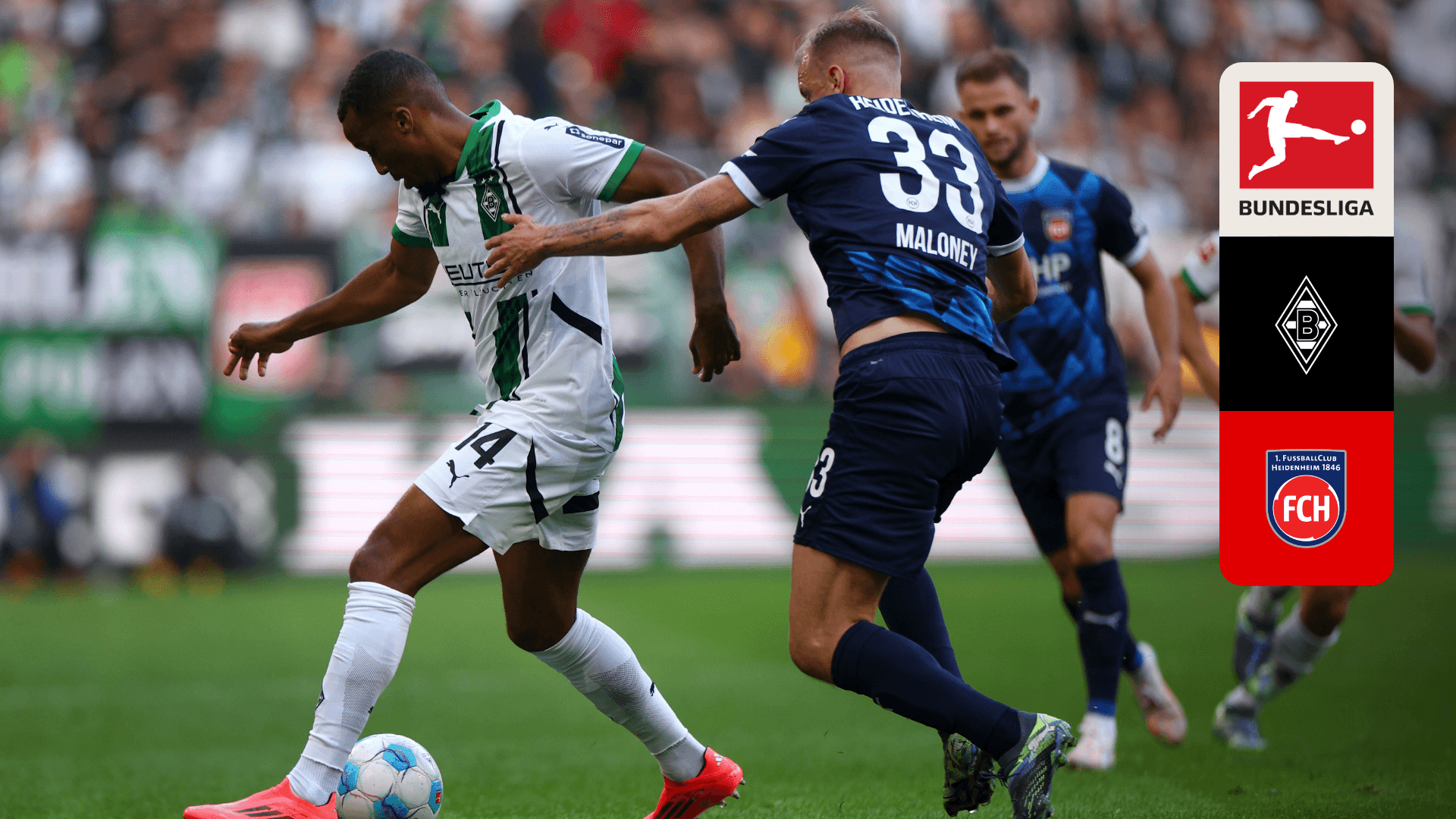 Watch M'gladbach x Heidenheim Live Stream | DAZN PT