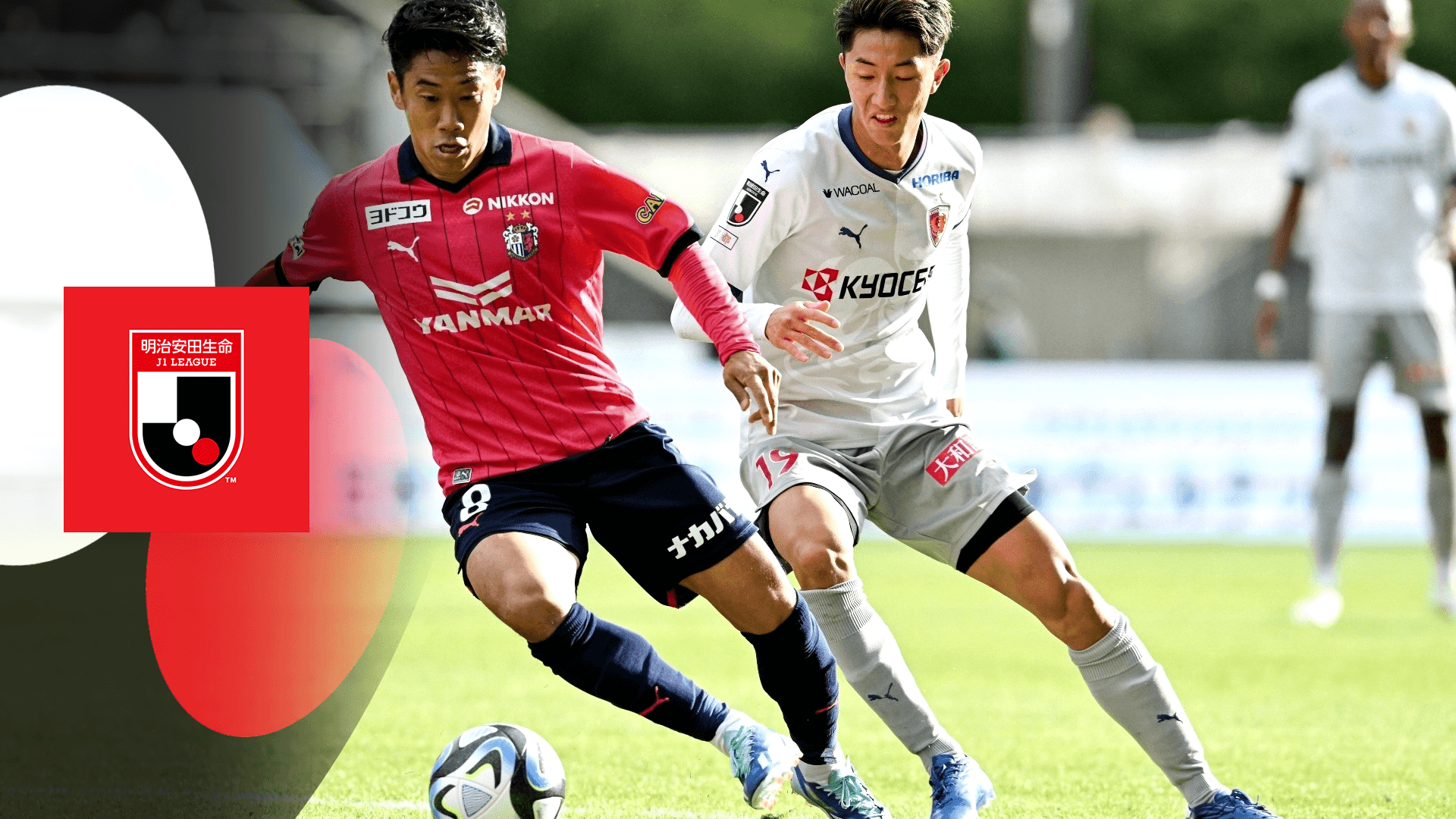 Watch Cosaka v Sanga Live Stream | DAZN JP