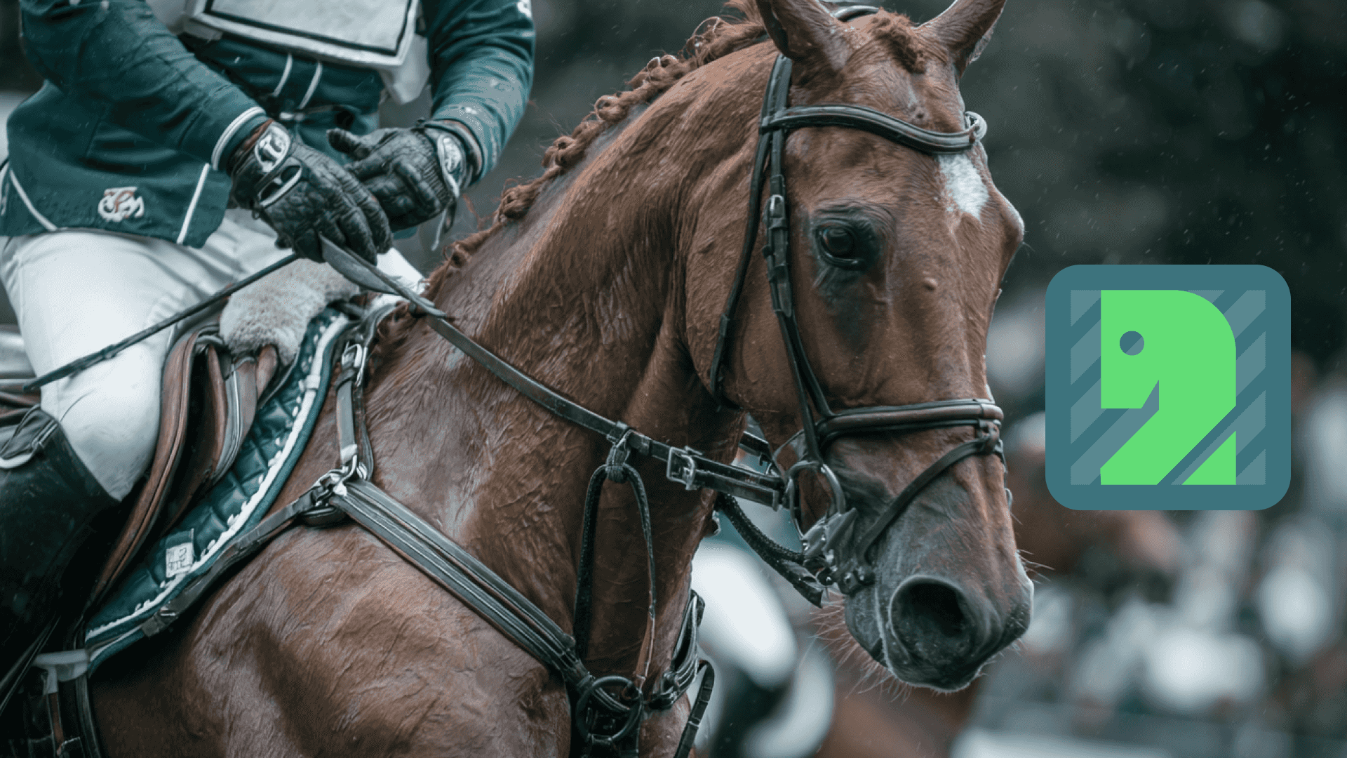 Watch Equestrian - Day 1 (In Arabic) Live Stream Online | DAZN DK