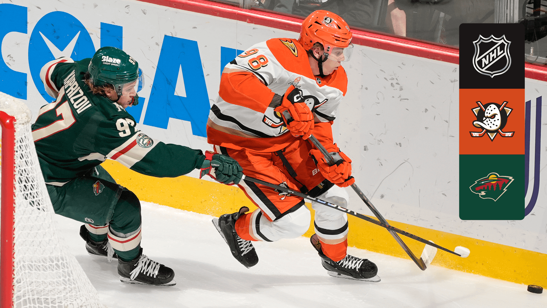 Watch Ducks @ Wild Live Stream Online | DAZN PT