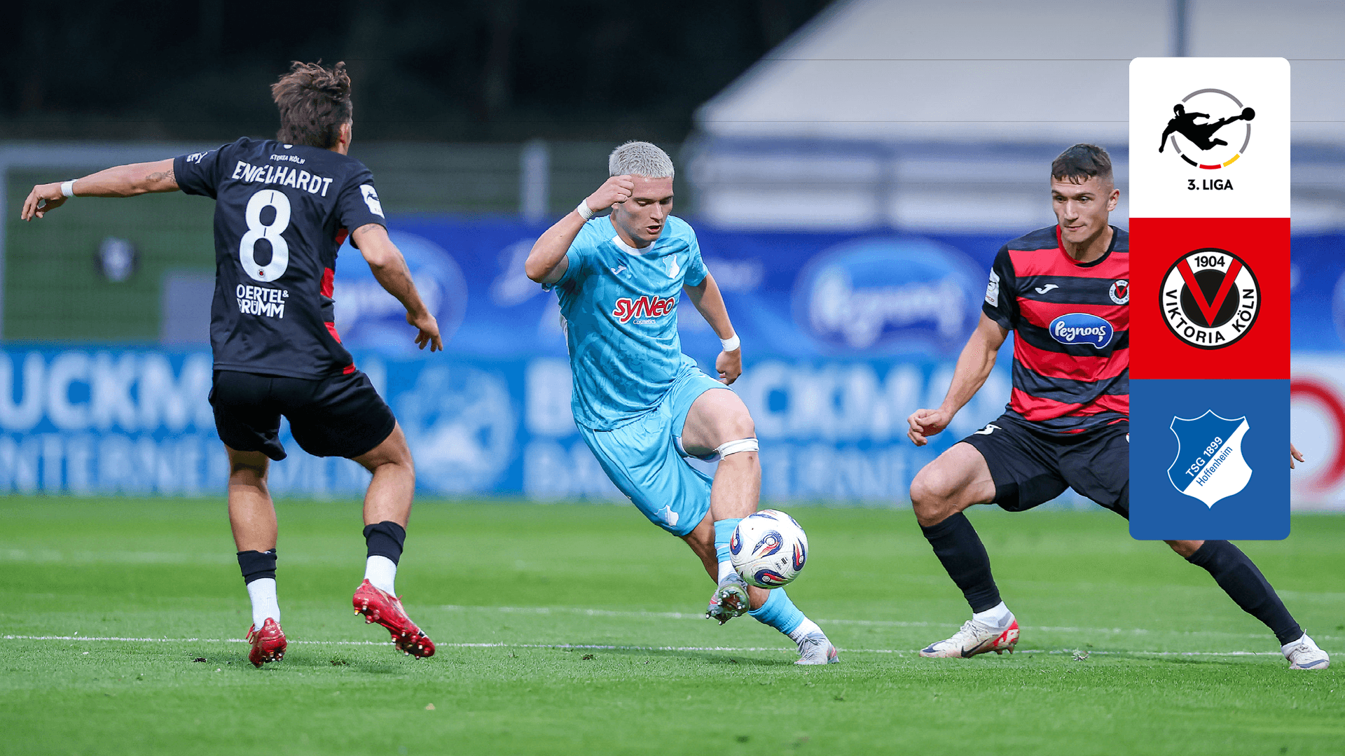 FC Viktoria Köln - TSG Hoffenheim II Live Stream | Jetzt Anmelden | DAZN CH