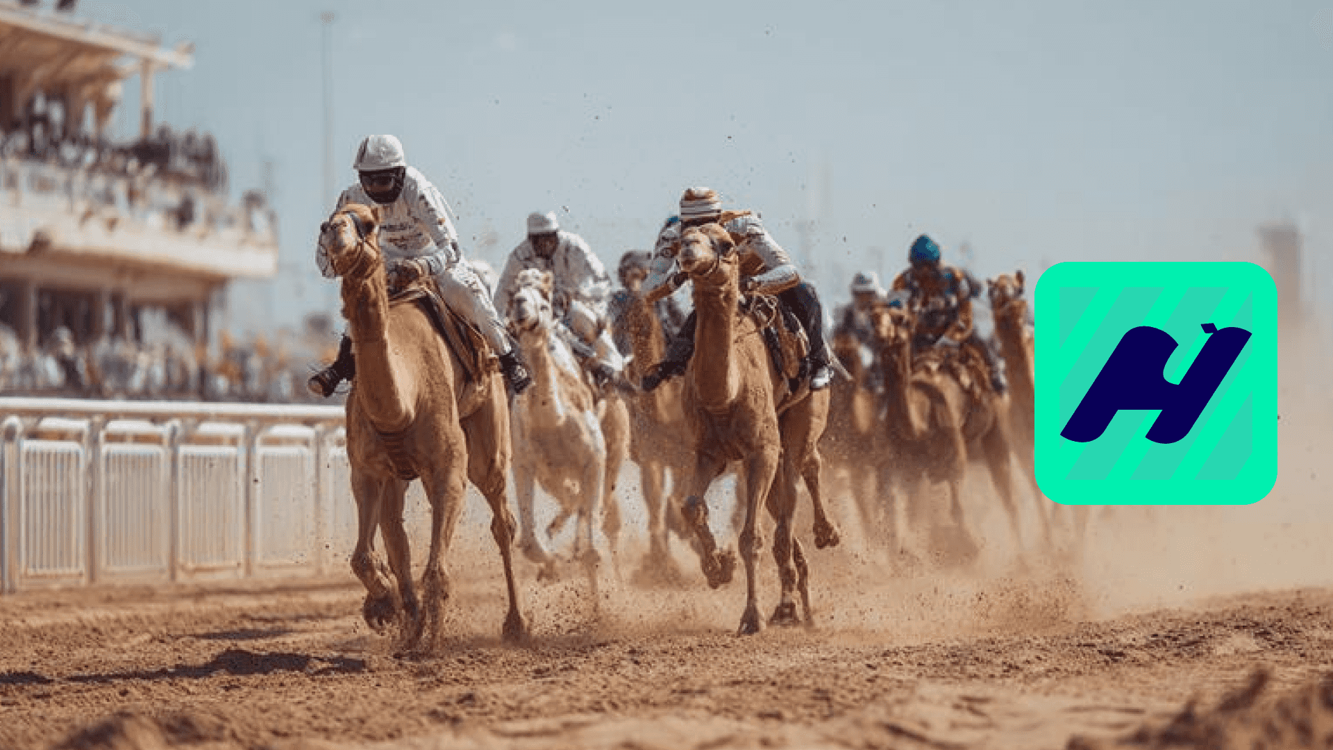 Watch Camel Racing - Day 1 Live Stream Online | DAZN NZ
