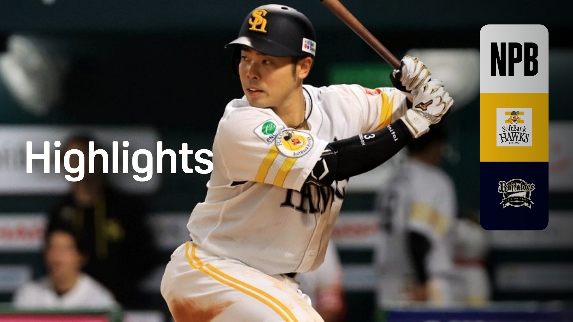 Watch Hawks v Buffaloes Online | DAZN TW