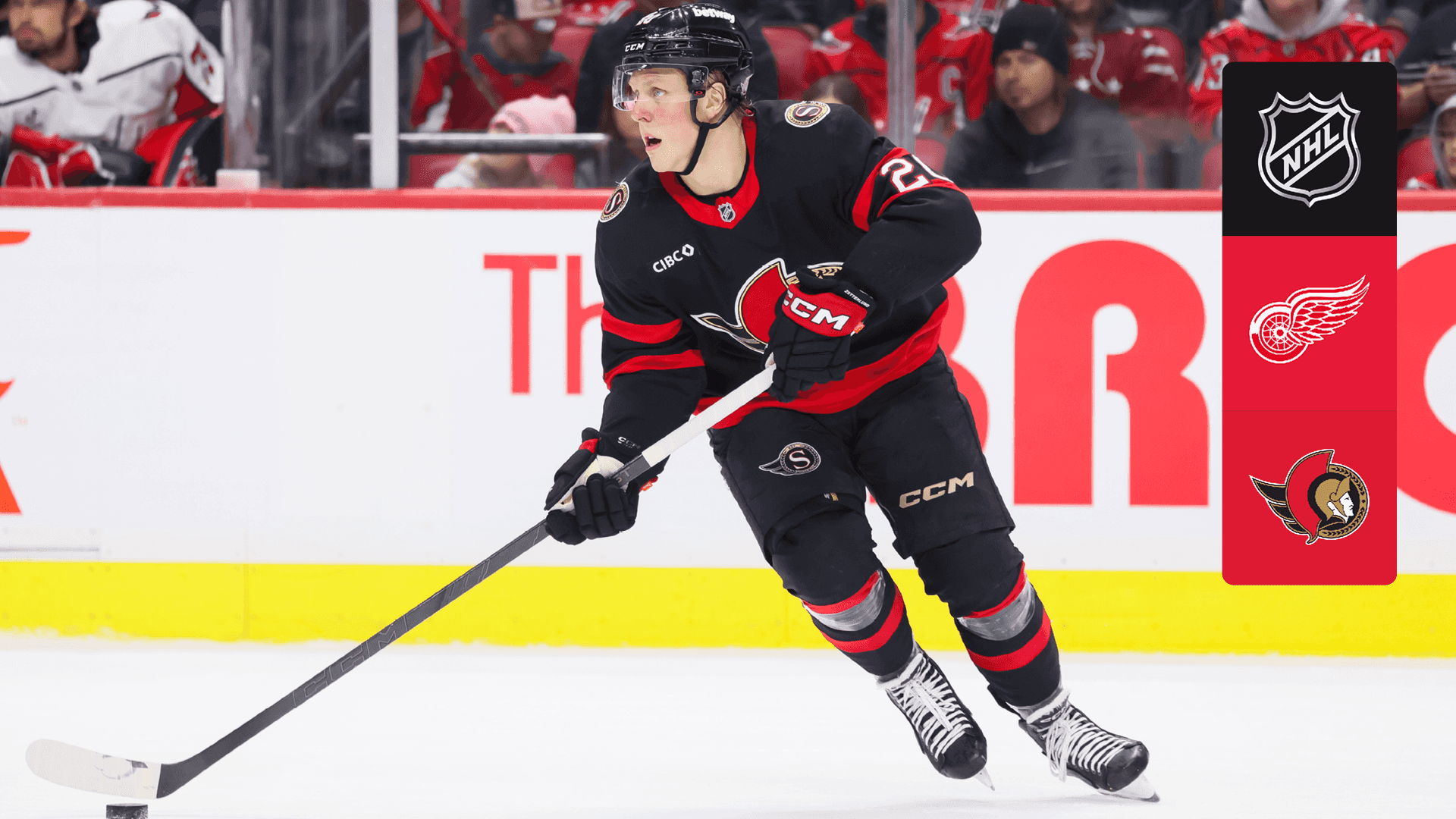 Red Wings vs. Senators in Diretta Streaming | DAZN IT