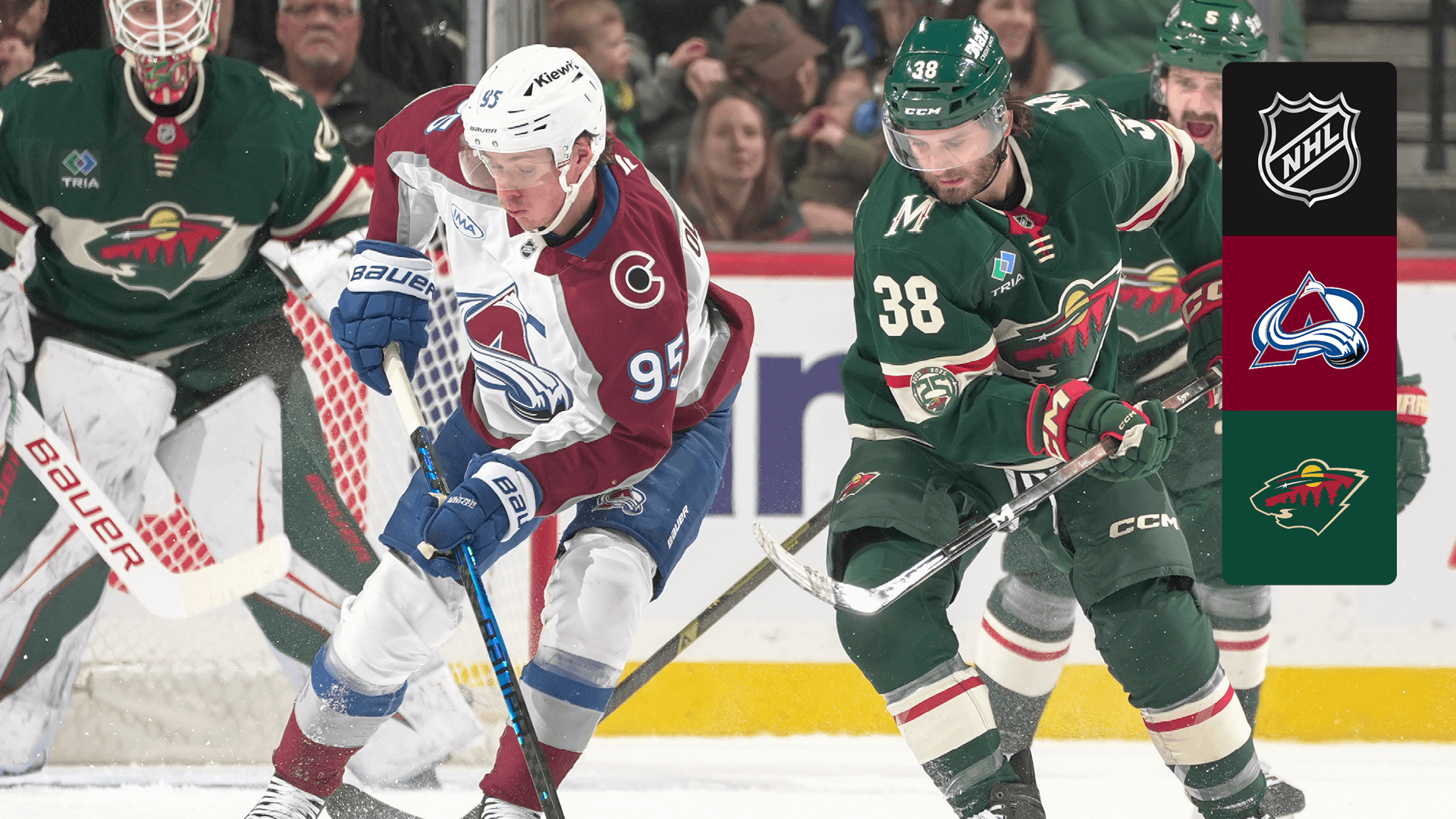 Watch Avalanche @ Wild Live Stream Online | DAZN ZA