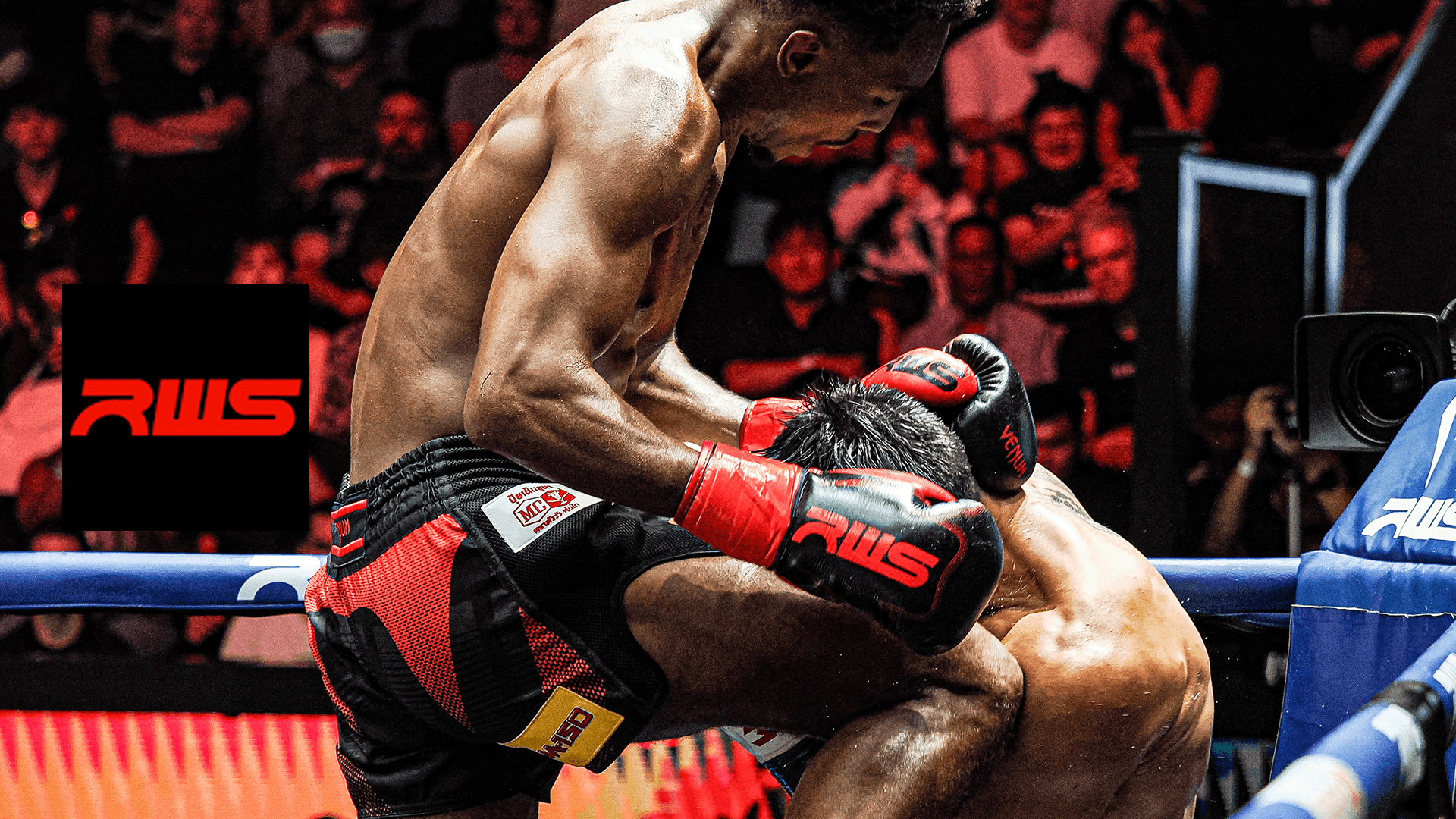 Watch Rajadamnern World Series: The Best 154lbs Fighters Online | DAZN SH