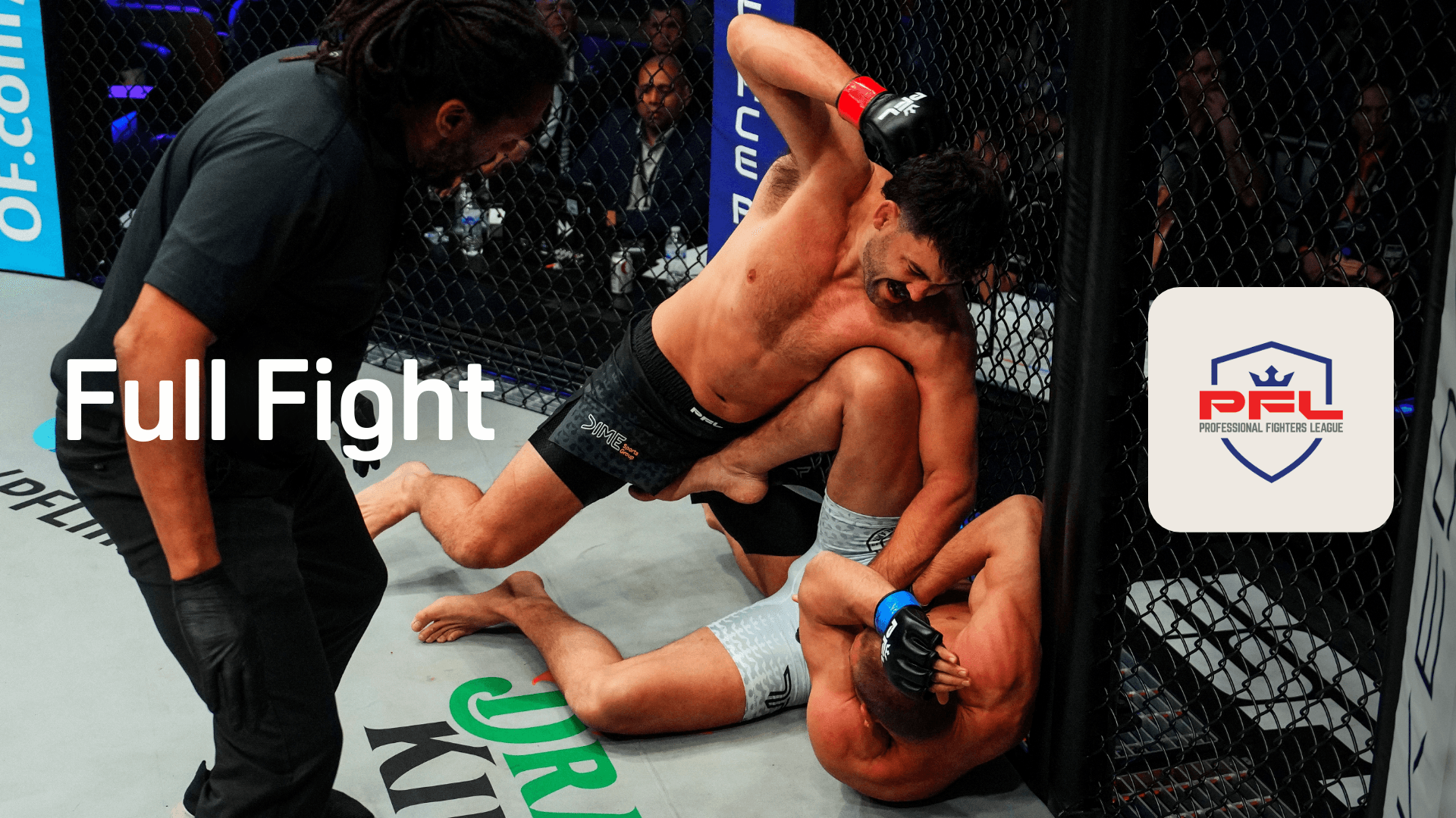 Watch PFL 2 | 2024: Wilkinson vs. Breese Online | DAZN CA