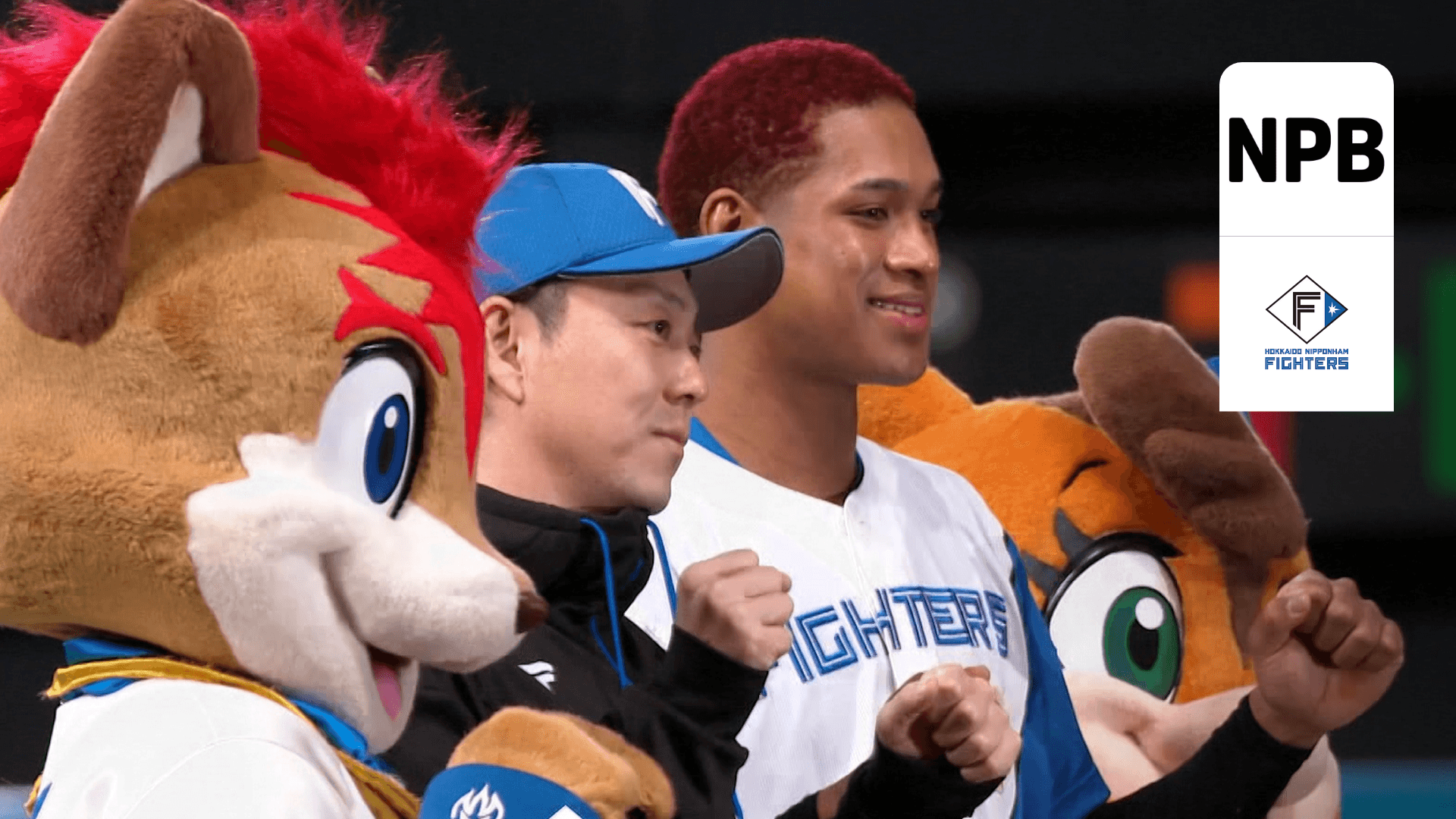 Watch Fighters Weekly HL 0511 Online | DAZN JP