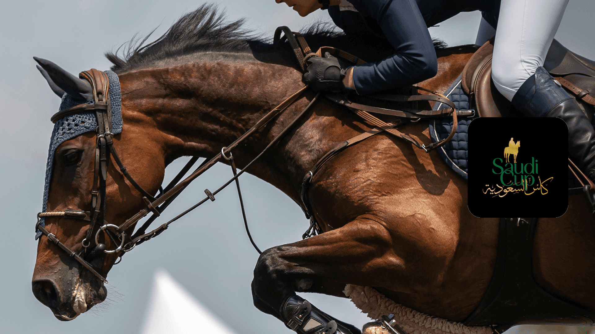 Regardez les diffusions en direct de Prince Khalid Abdullah Cup Race ...