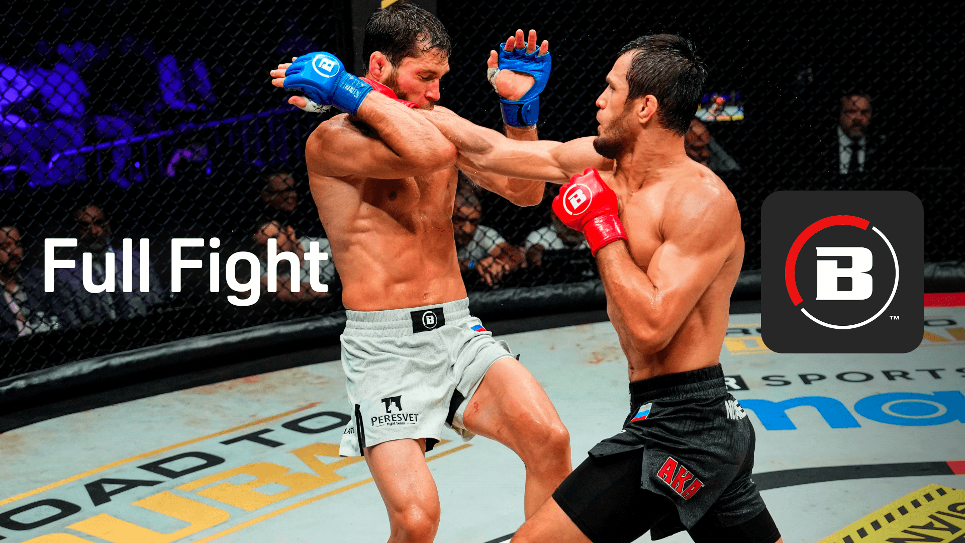 Watch Bellator Champions Series 4 | Nurmagomedov vs. Shabily Online ...