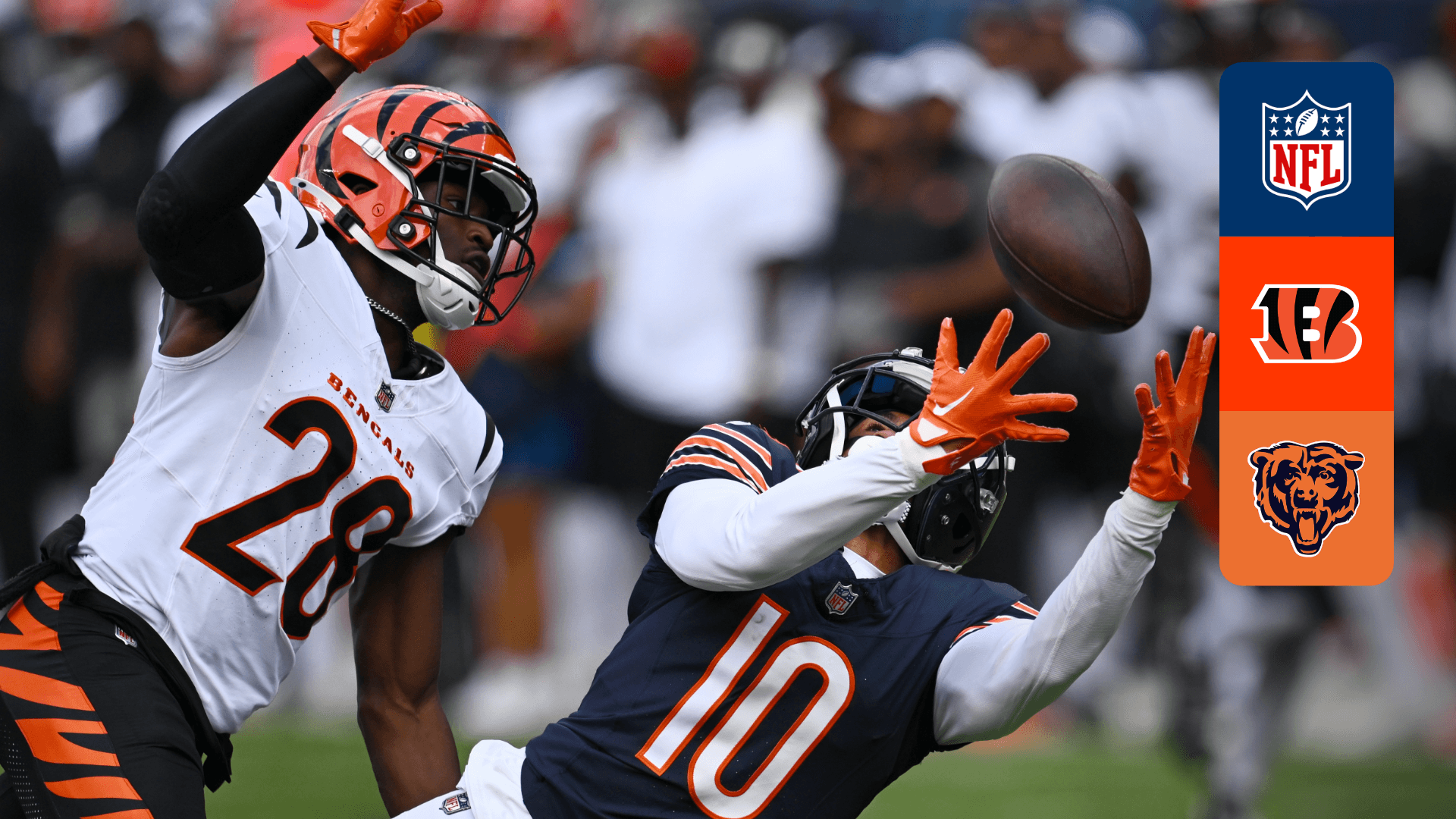 Watch Bengals @ Bears Live Stream | DAZN OM