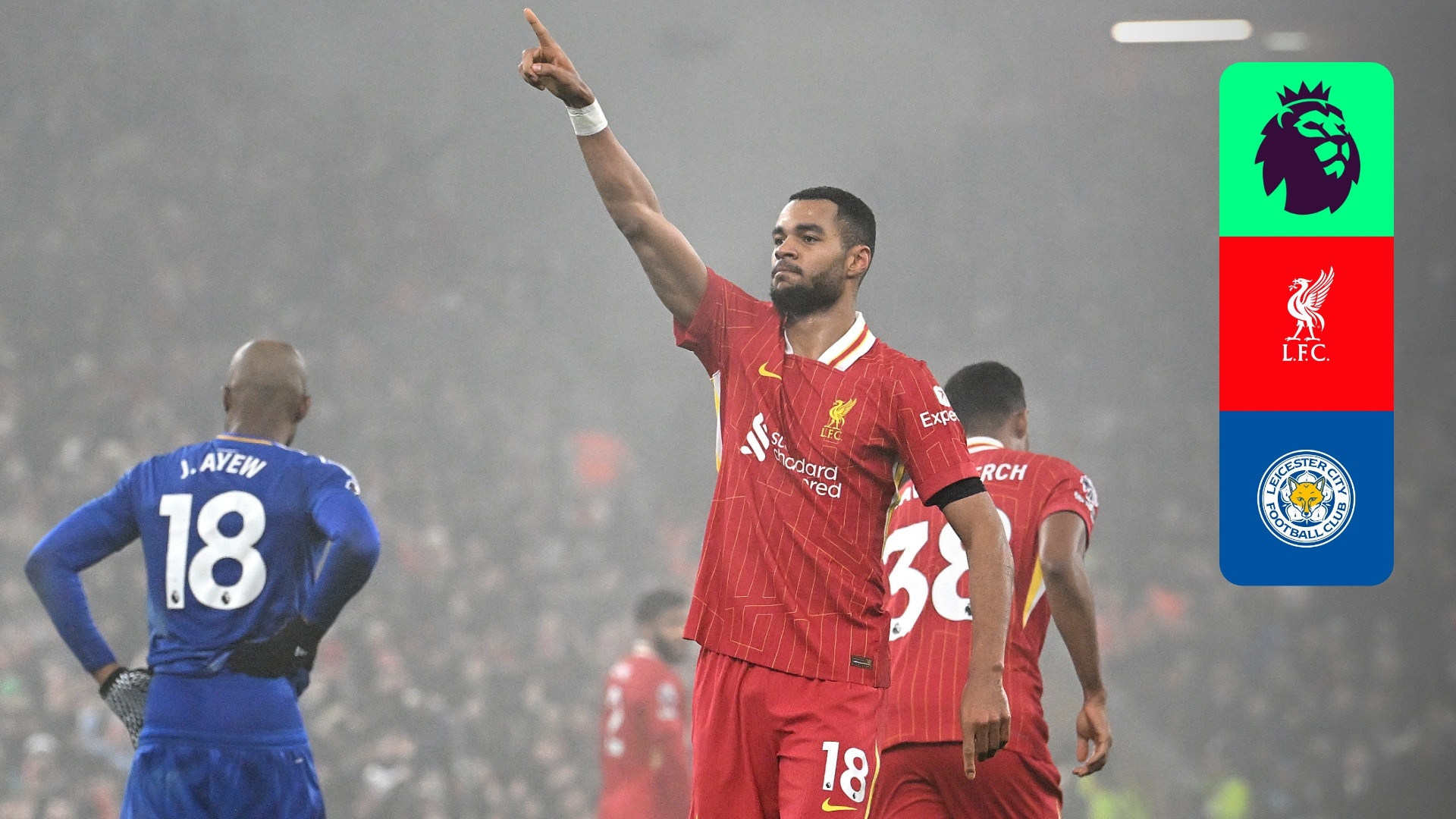 Watch Cody Gakpo | Liverpool x Leicester Online | DAZN PT