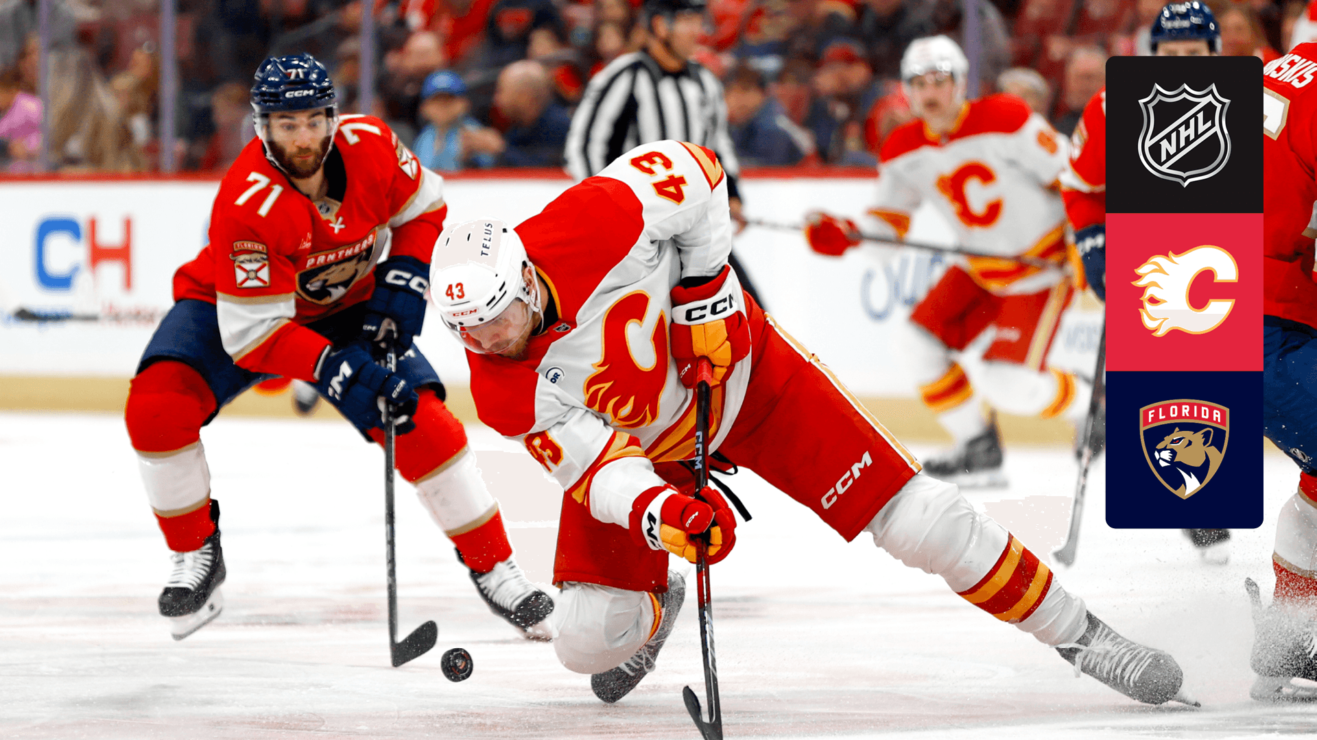 Watch Flames @ Panthers Live Stream Online | DAZN AE