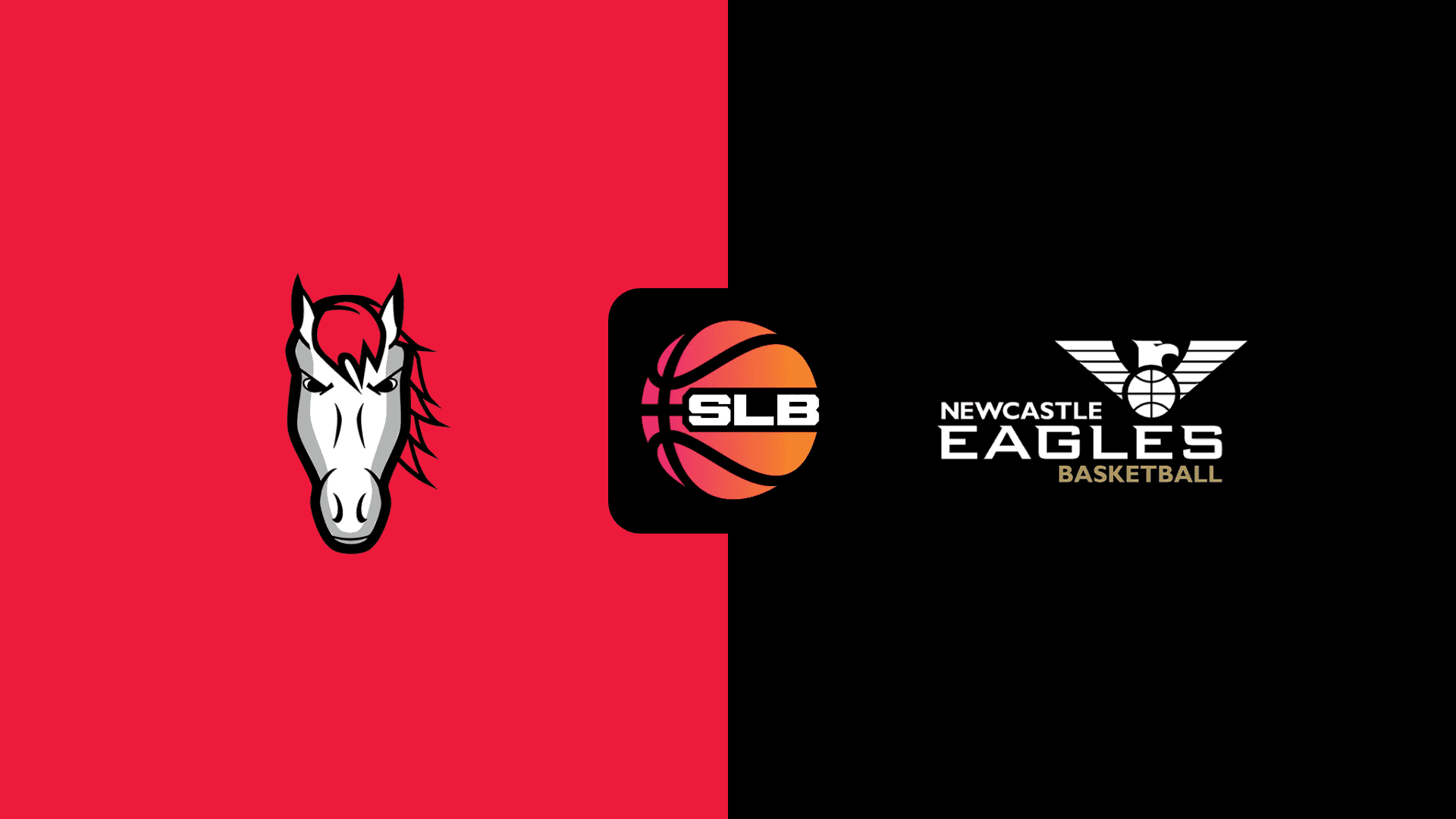 Leicester Riders - Newcastle Eagles Live Stream | Jetzt Anmelden | DAZN DE