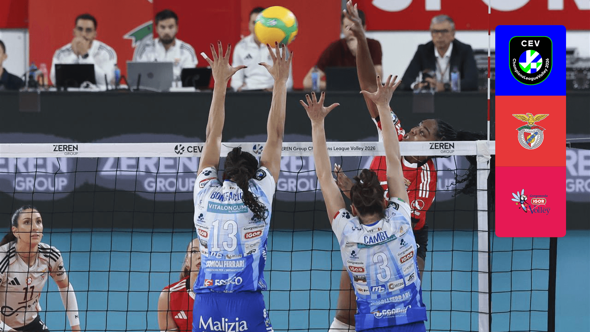 Watch Benfica - Novara Live Stream Online | DAZN IT