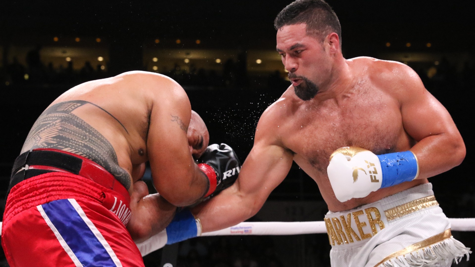 Watch Parker vs. Leapai (2019) Online | DAZN JP