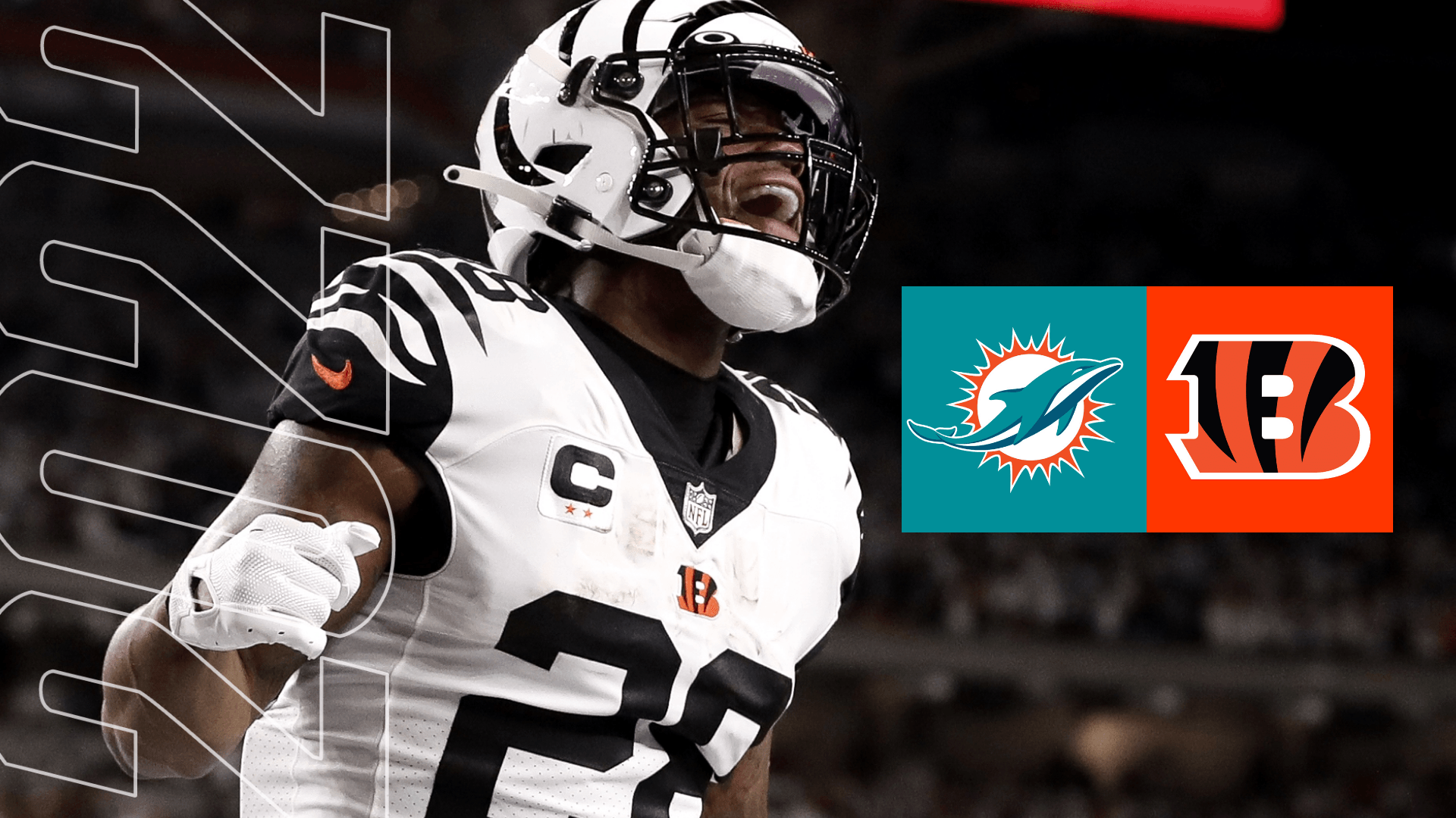 Watch Dolphins @ Bengals Live Stream | DAZN JP