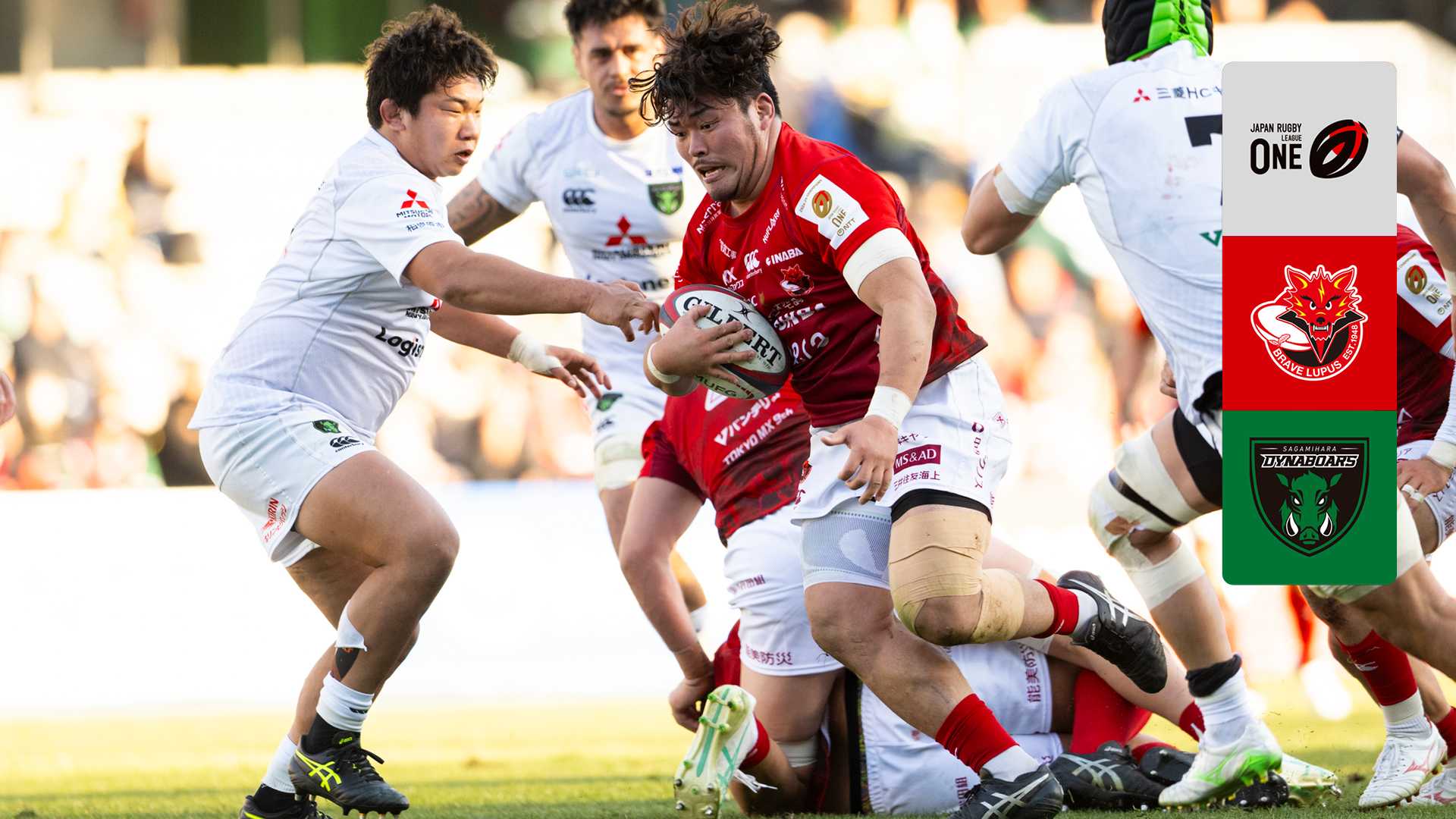 Watch Brave Lupus Tokyo v Sagamihara Dynaboars Live Stream Online | DAZN JP