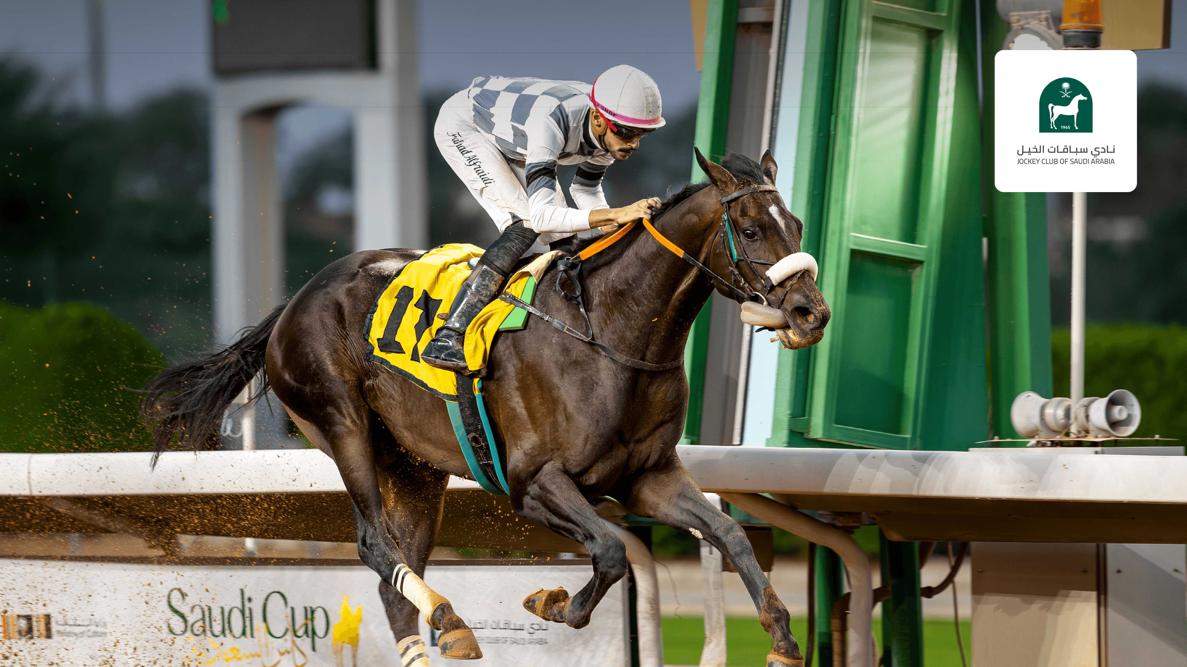 Watch JCSA Cup (Listed) Race Night Live Stream Online | DAZN AU