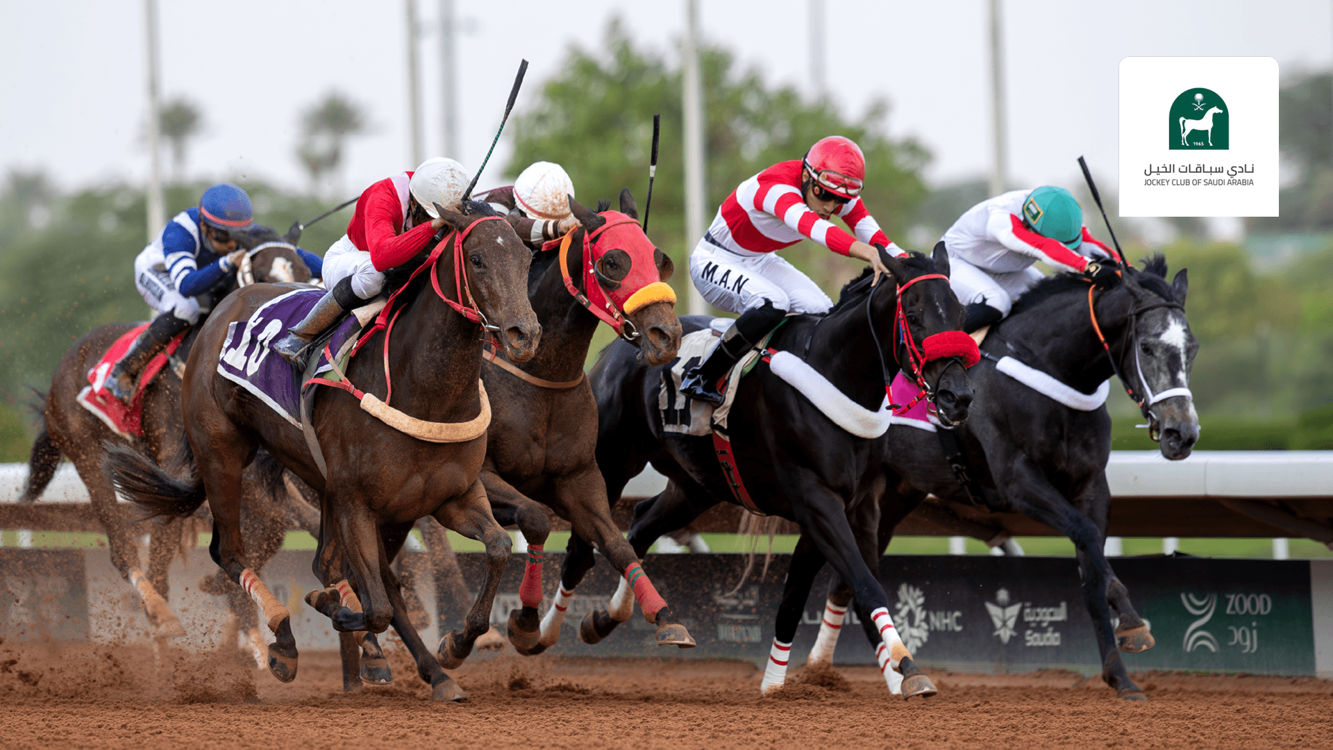 Watch Royal Cups Race Night 2 Live Stream Online | DAZN US