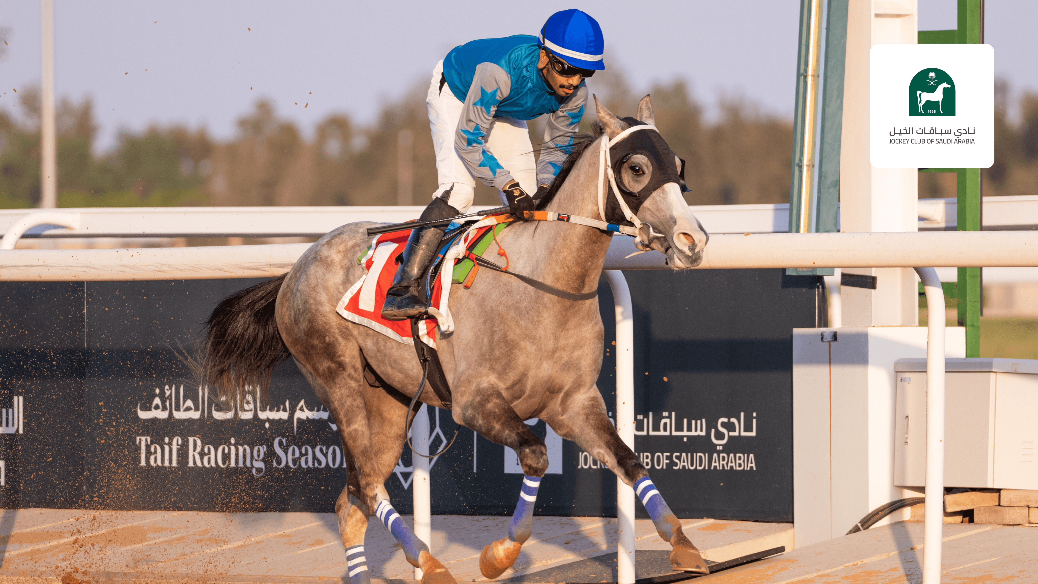 Watch Riyadh Racing Season Race Night 3 Live Stream Online | DAZN PK