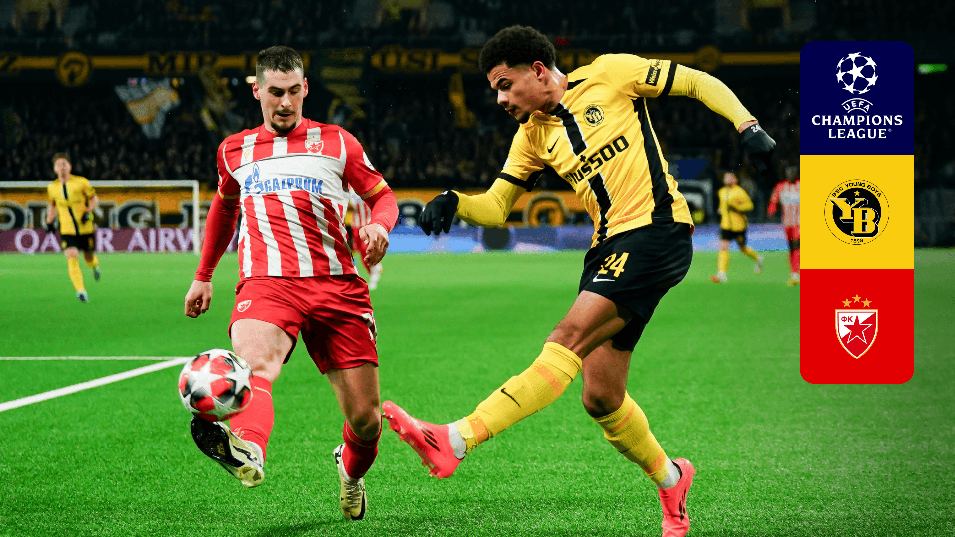 Watch Young Boys - Crvena Zvezda Live Stream | DAZN LU
