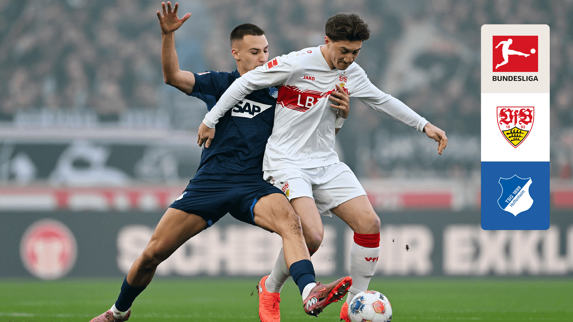 Watch Stuttgart vs. Hoffenheim Live Stream Online | DAZN CA