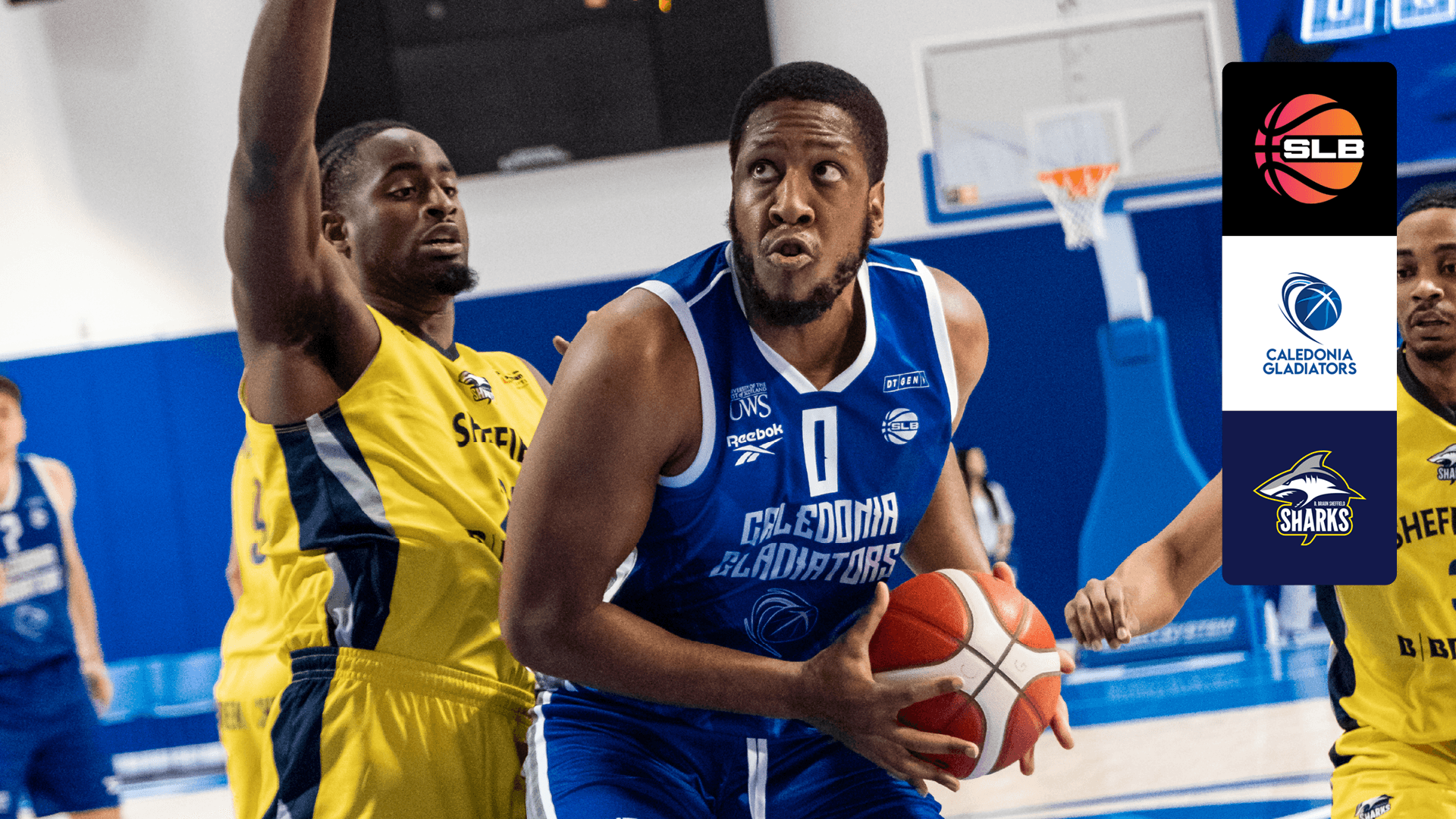 Watch Caledonia Gladiators vs. Sheffield Sharks Live Stream Online ...