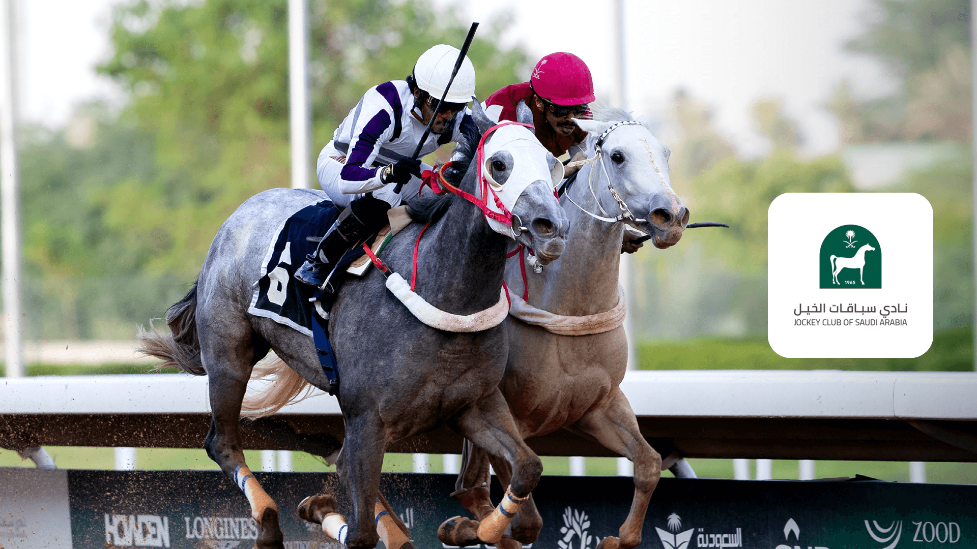 Watch Riyadh Racing Season Race Night 12 Live Stream Online | DAZN US