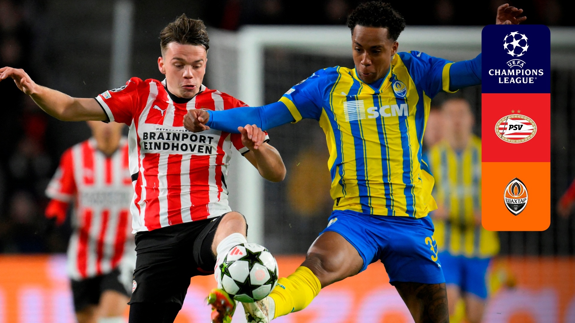 Watch PSV x Shakhtar Donetsk Live Stream | DAZN PT