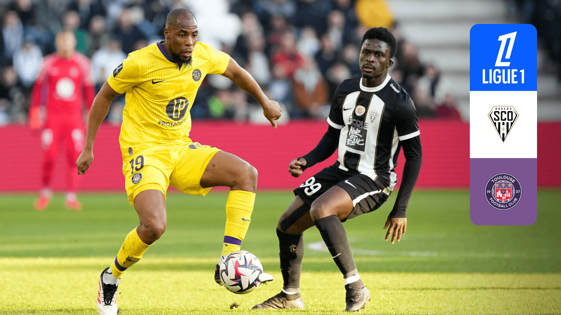 Watch Angers - Toulouse Live Stream | DAZN DE