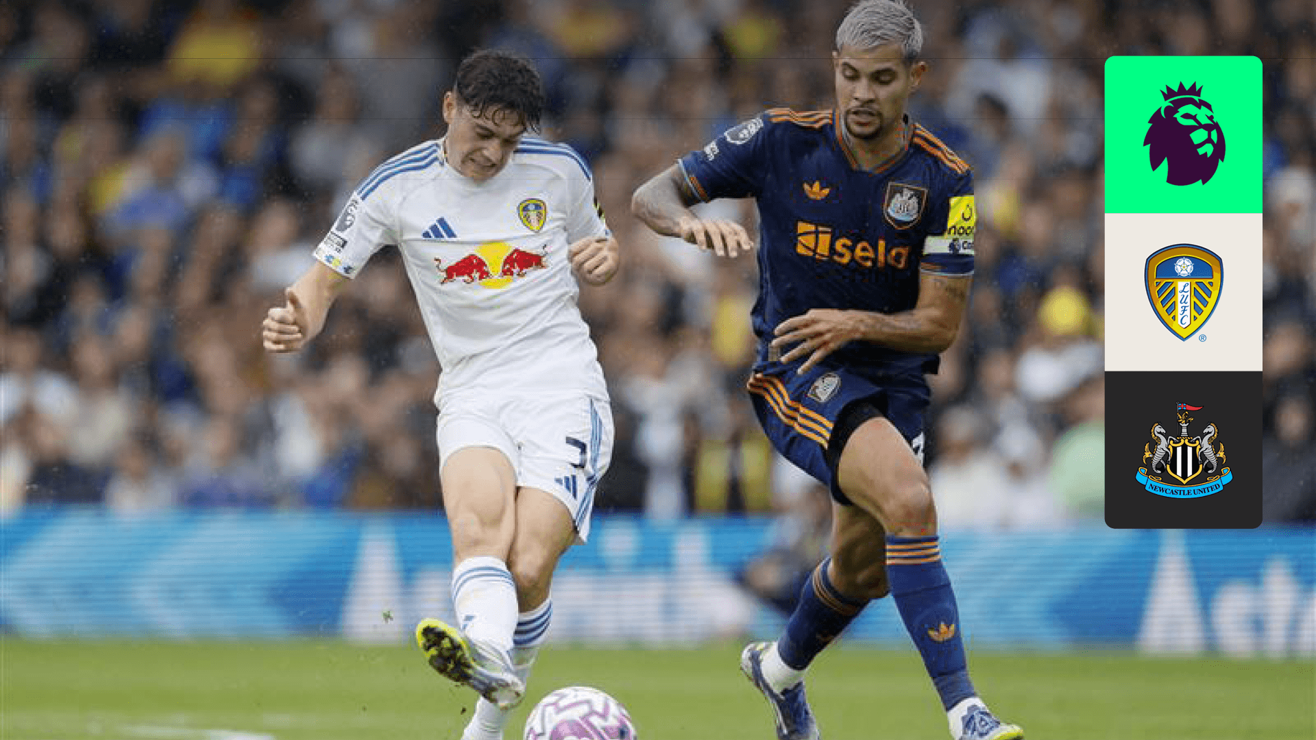 Watch Leeds x Newcastle Live Stream | DAZN PT