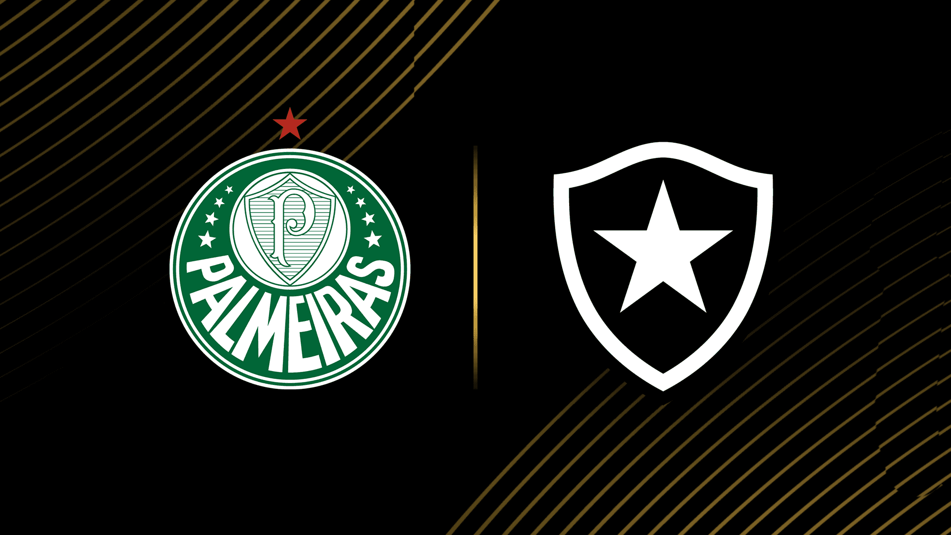 Watch Palmeiras vs. Botafogo Live Stream | DAZN TN