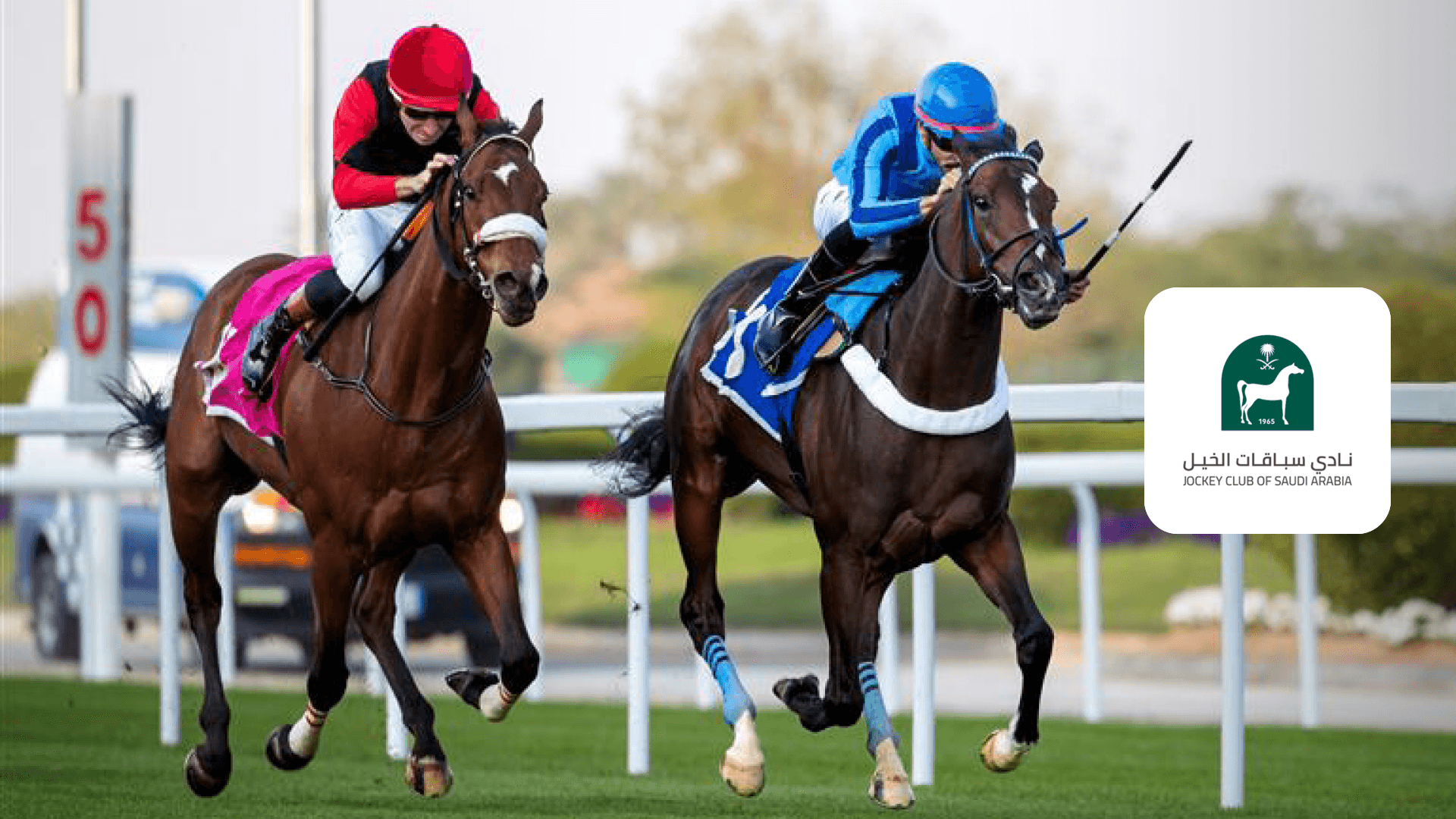 Watch Riyadh Racing Season Race Night 15 Live Stream Online | DAZN GB