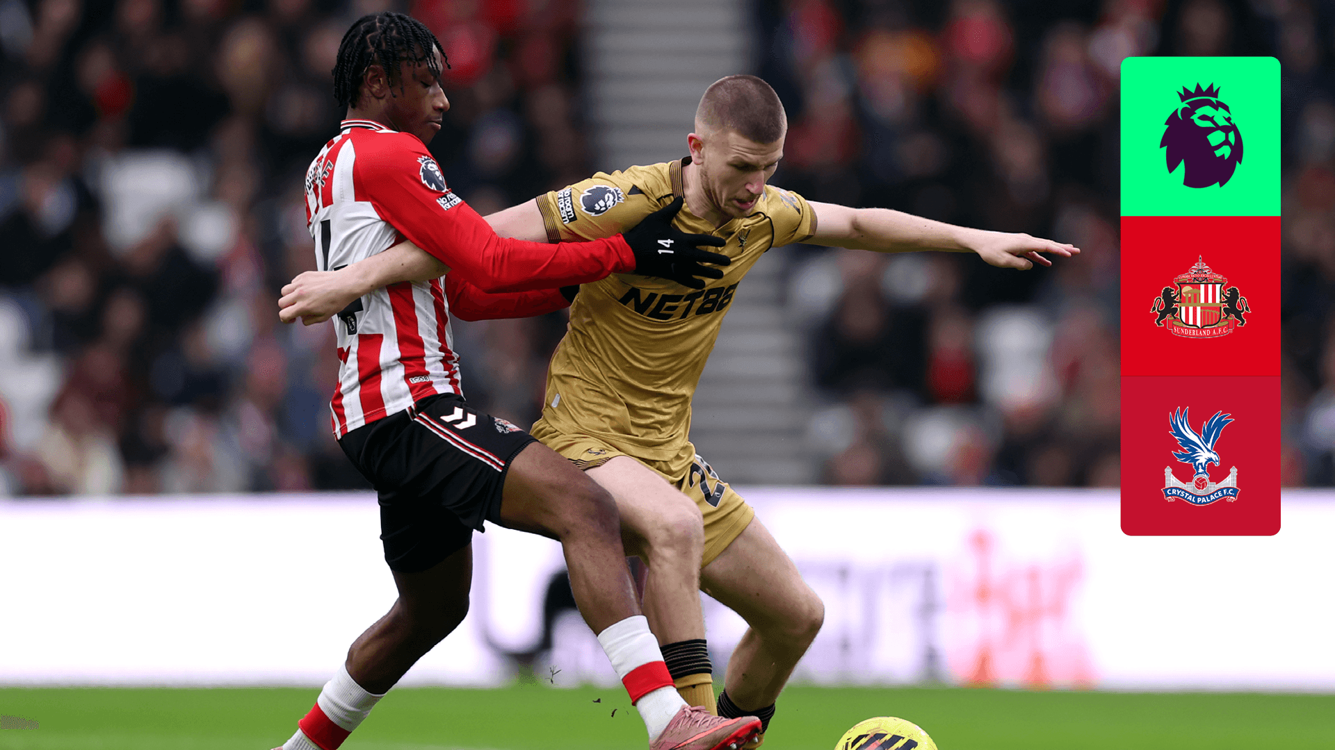 Watch Sunderland - Crystal Palace Live Stream Online | DAZN ES