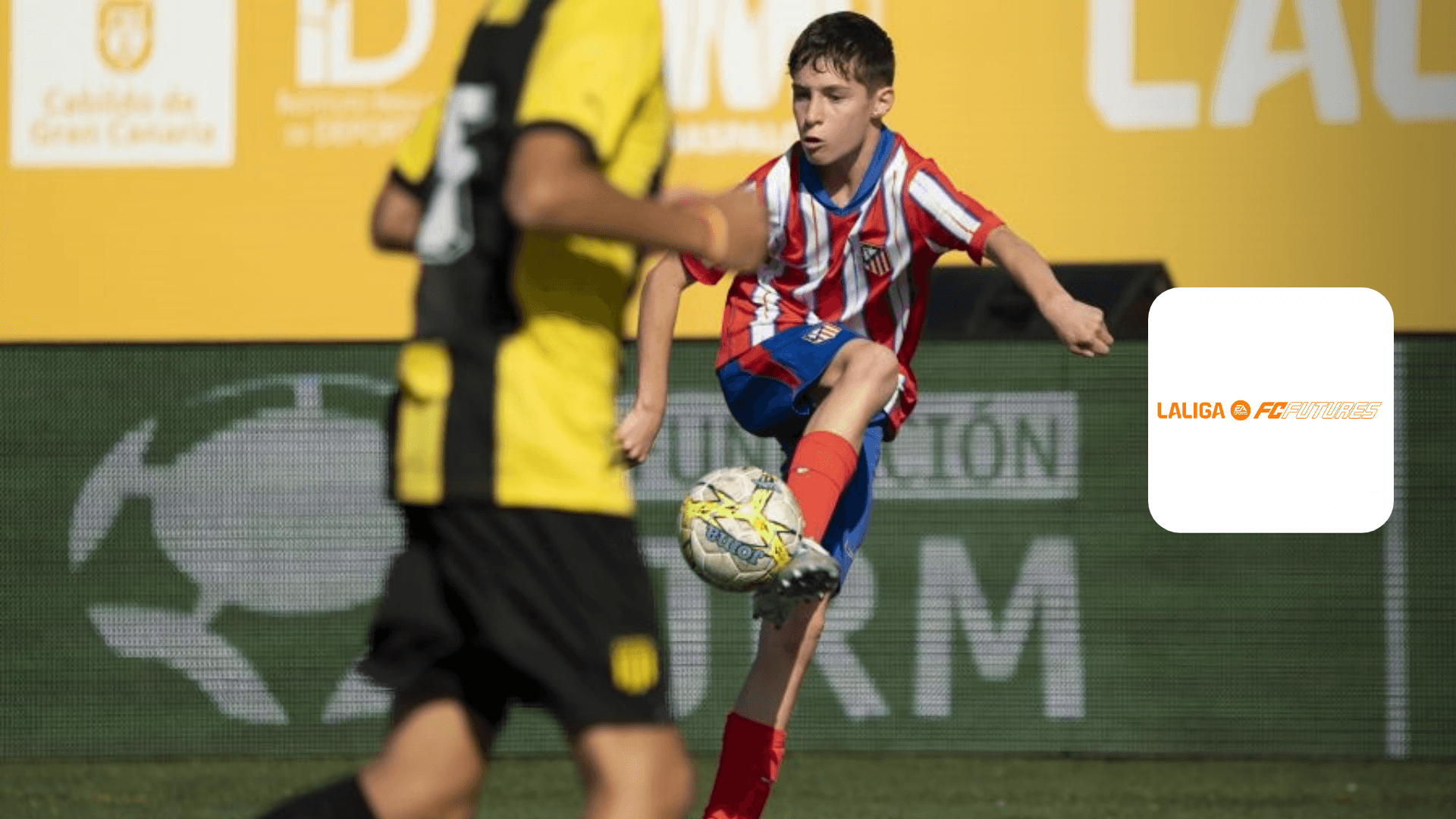 Ver Maspalomas | Final Online en Directo | DAZN ES