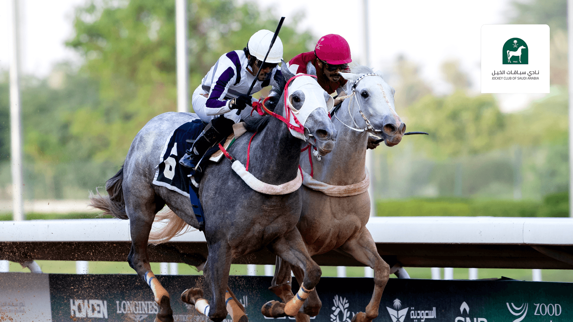 Regarder Riyadh Racing Season Race Night 12 en Direct Live | DAZN CA